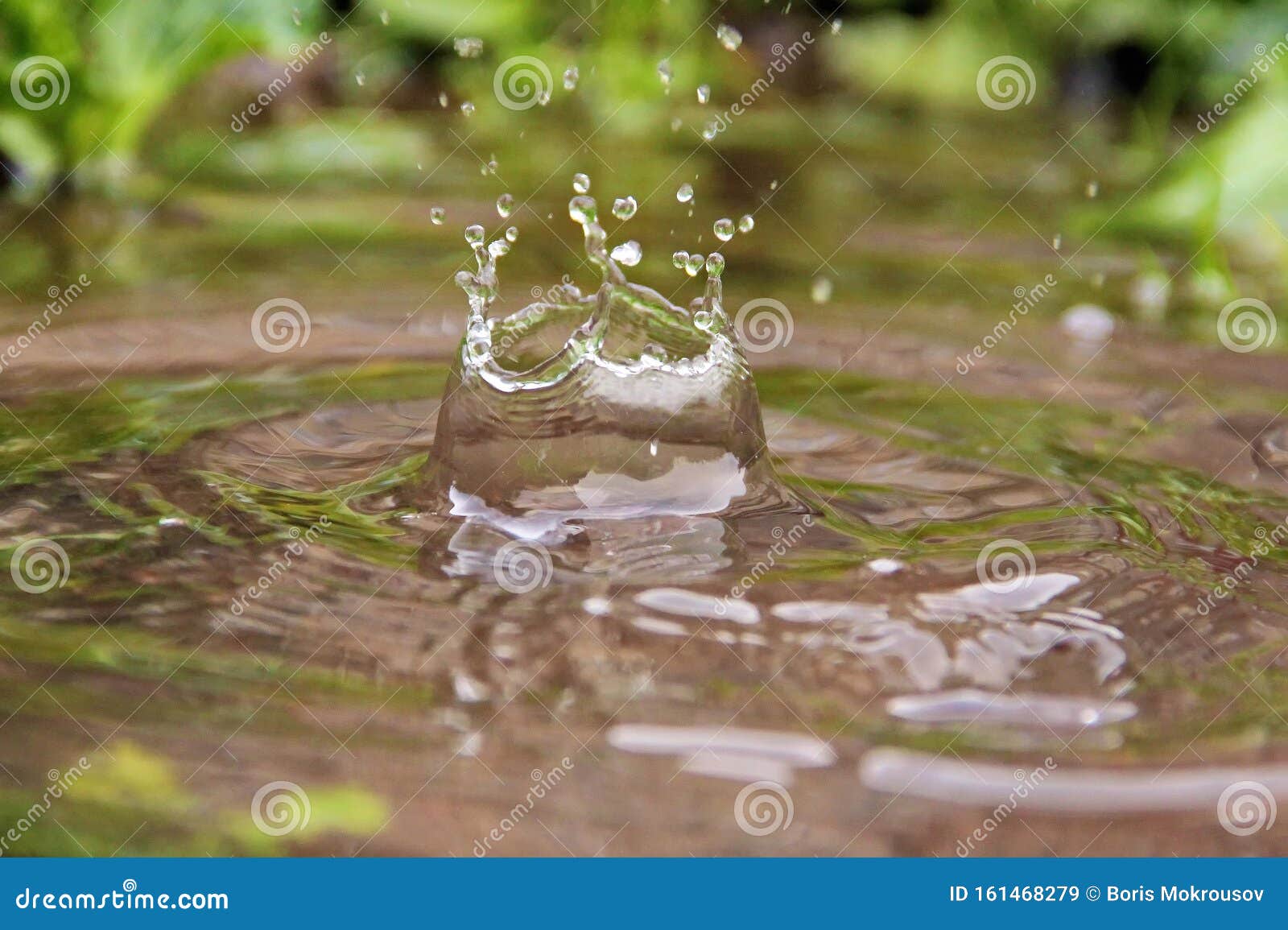 Frozen Splash from a Drop of Water Macro Stock Image - Image of ...