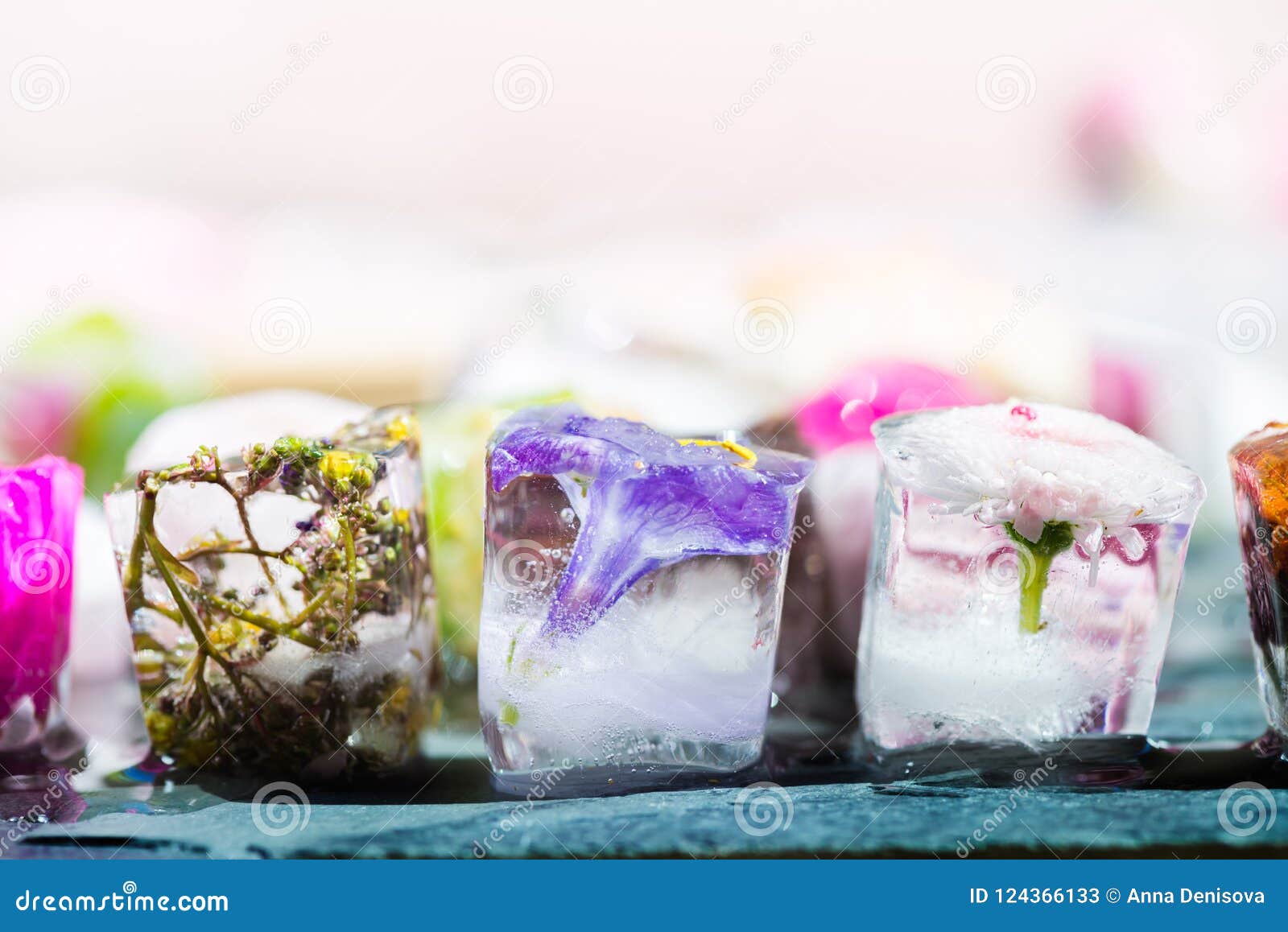 Different Beautiful Frozen Flowers in the Ice Cubes Stock Image - Image ...