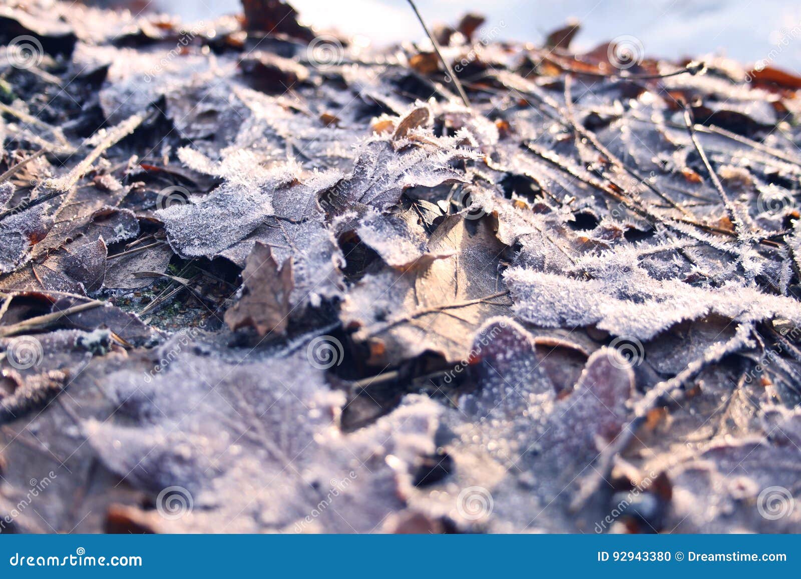 Frozen Spring stock photo. Image of fence, stone, relax - 92943380