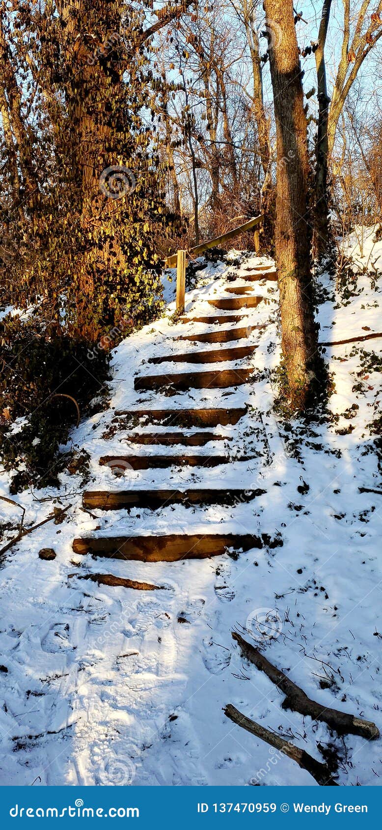 The frozen stairs stock image. Image of stairs, frozen - 137470959