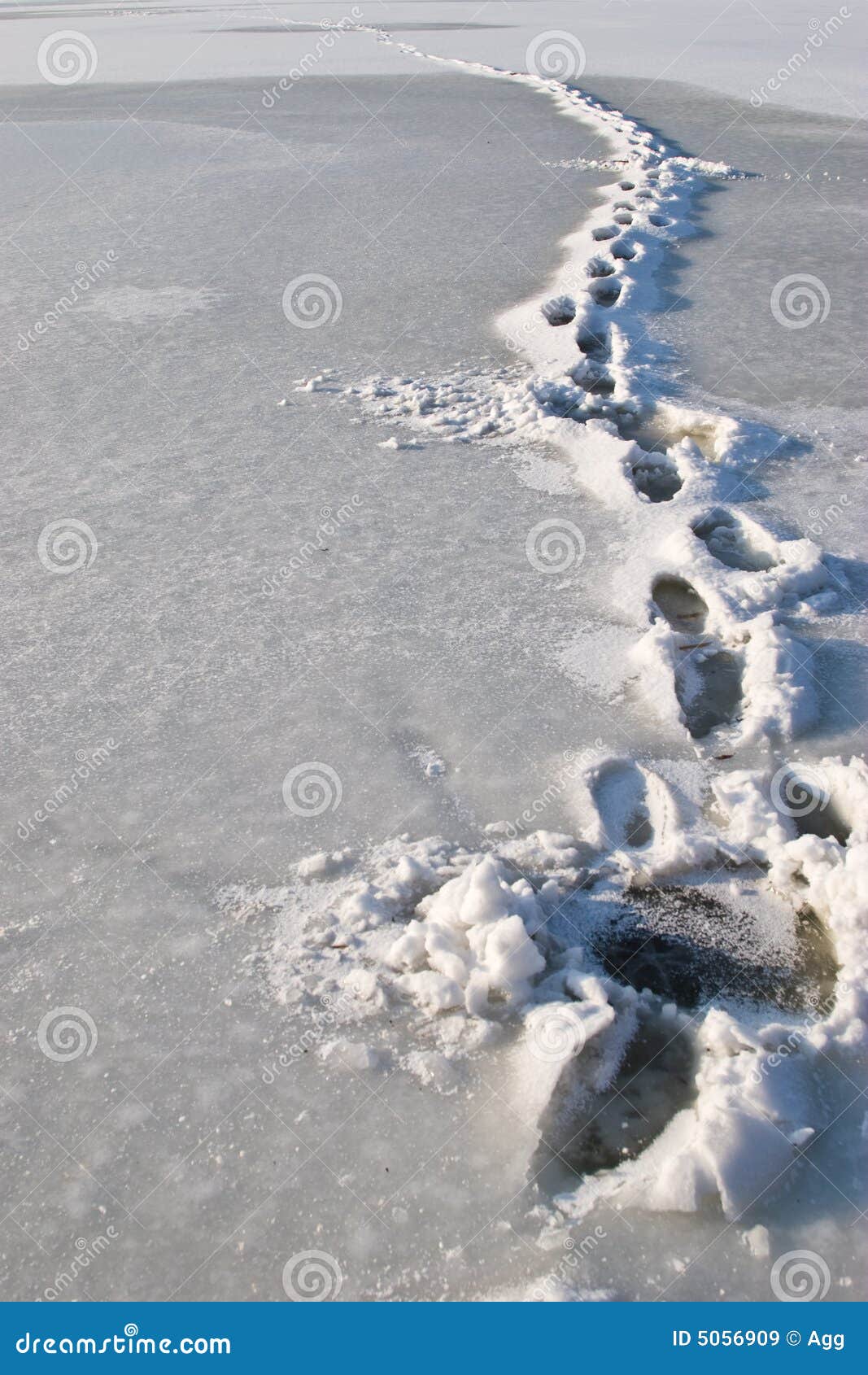 Frozen steps stock image. Image of frozen, brae, riverside - 5056909