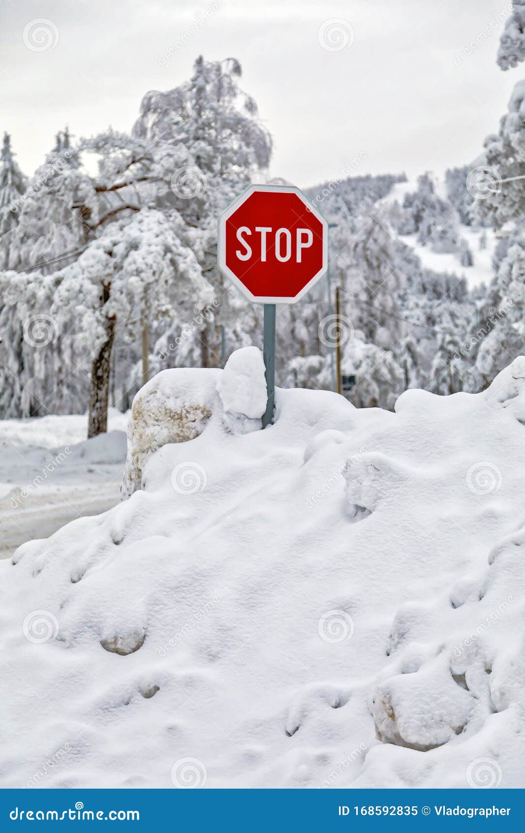 Frozen Stop Sign Vertical stock image. Image of caution - 168592835