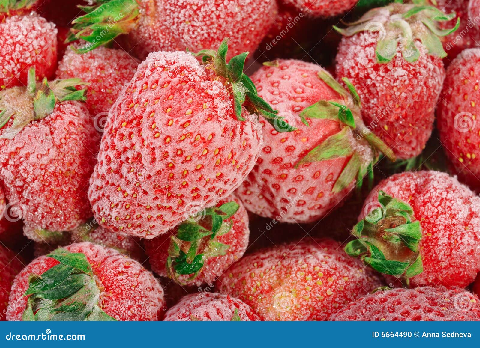 Frozen Strawberries stock photo. Image of bond, cool, christmas - 6664490