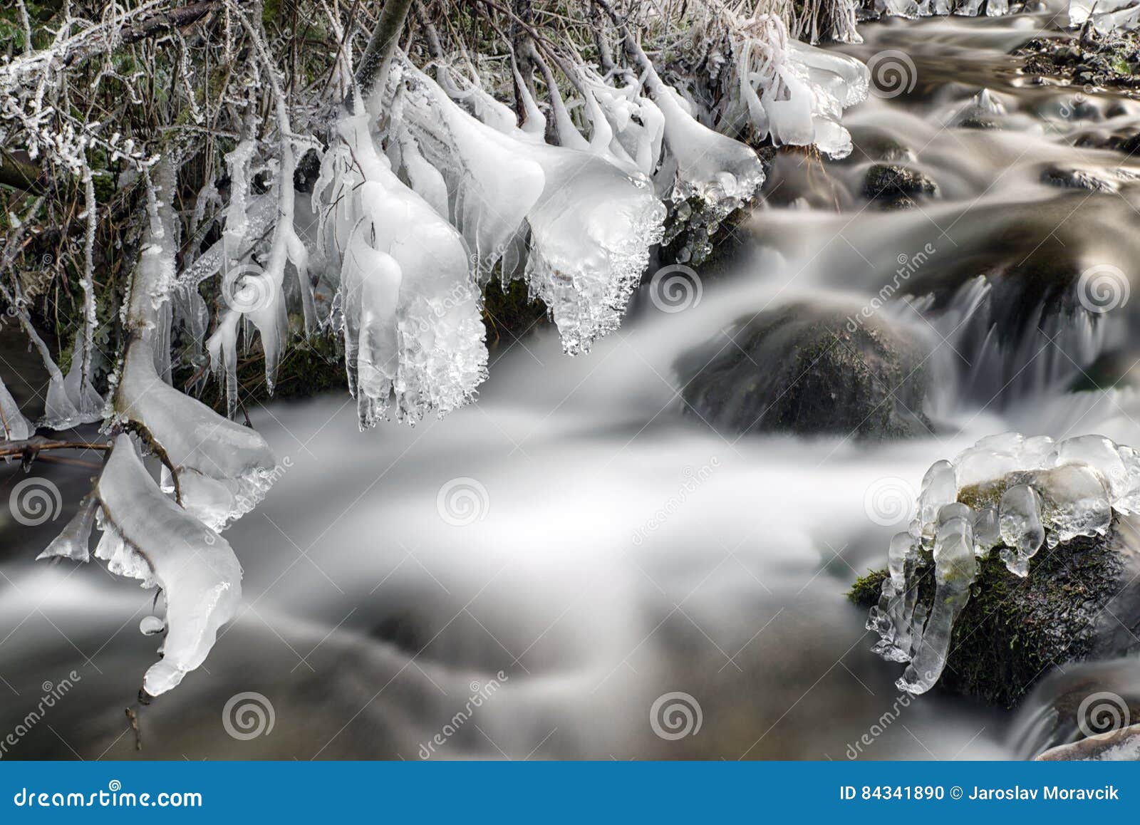 Frozen stream in forest stock photo. Image of stream - 84341890