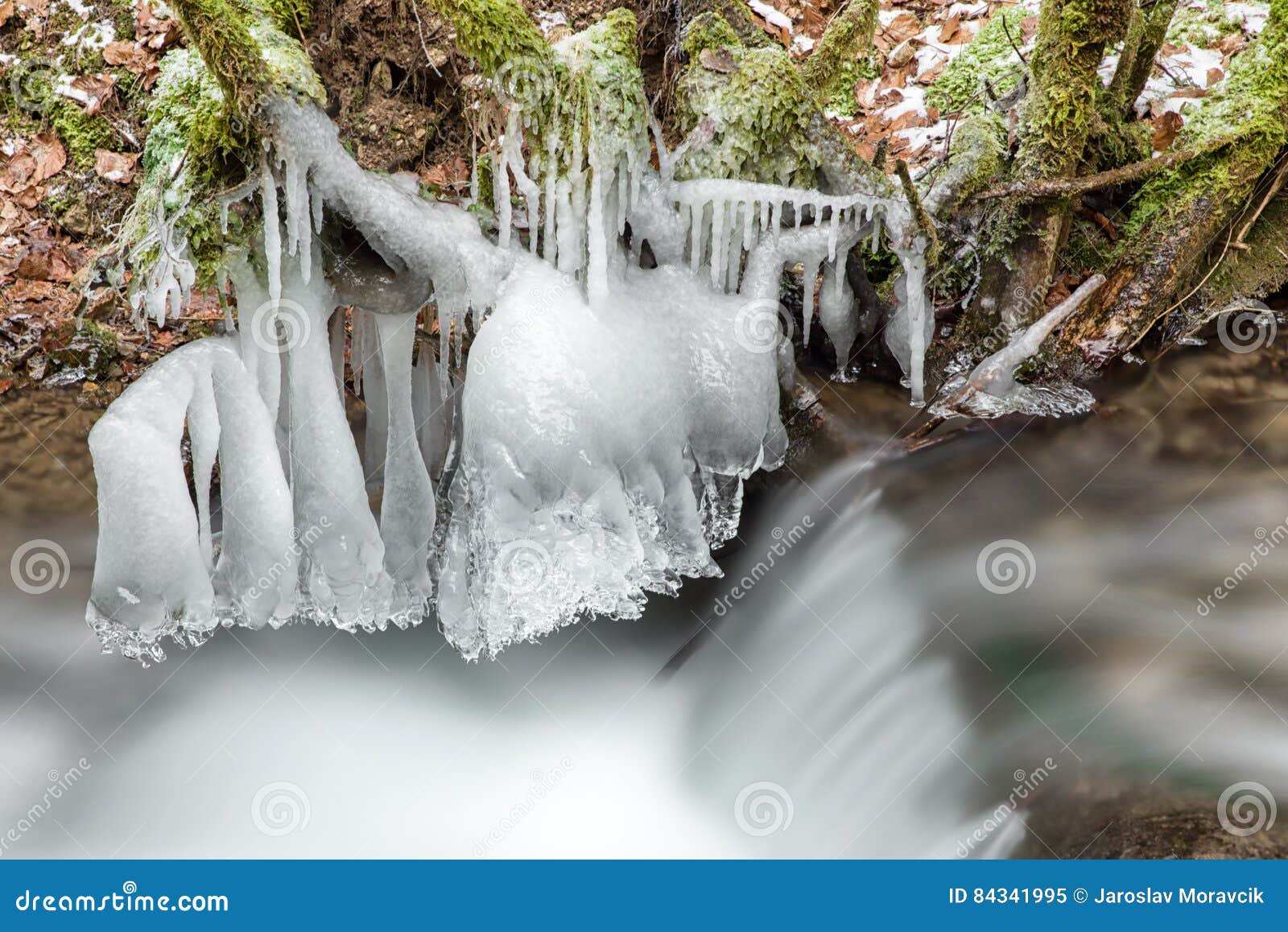 Frozen stream in forest stock image. Image of forest - 84341995