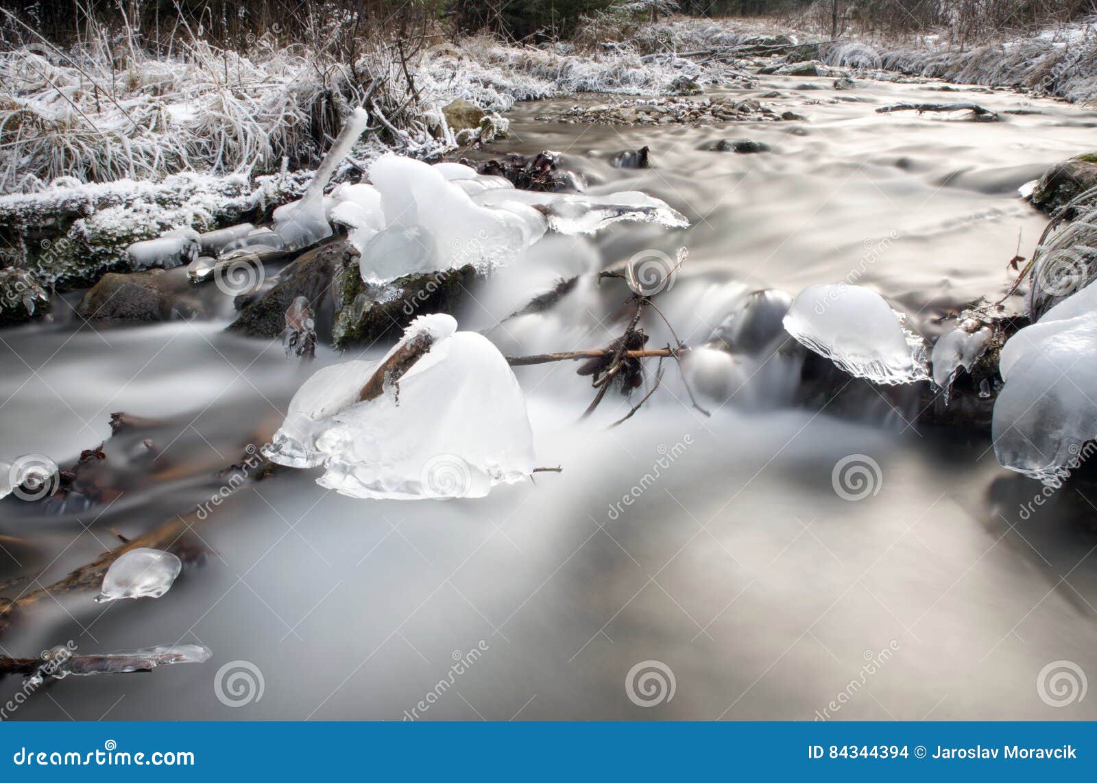Frozen stream in forest stock photo. Image of filter - 84344394