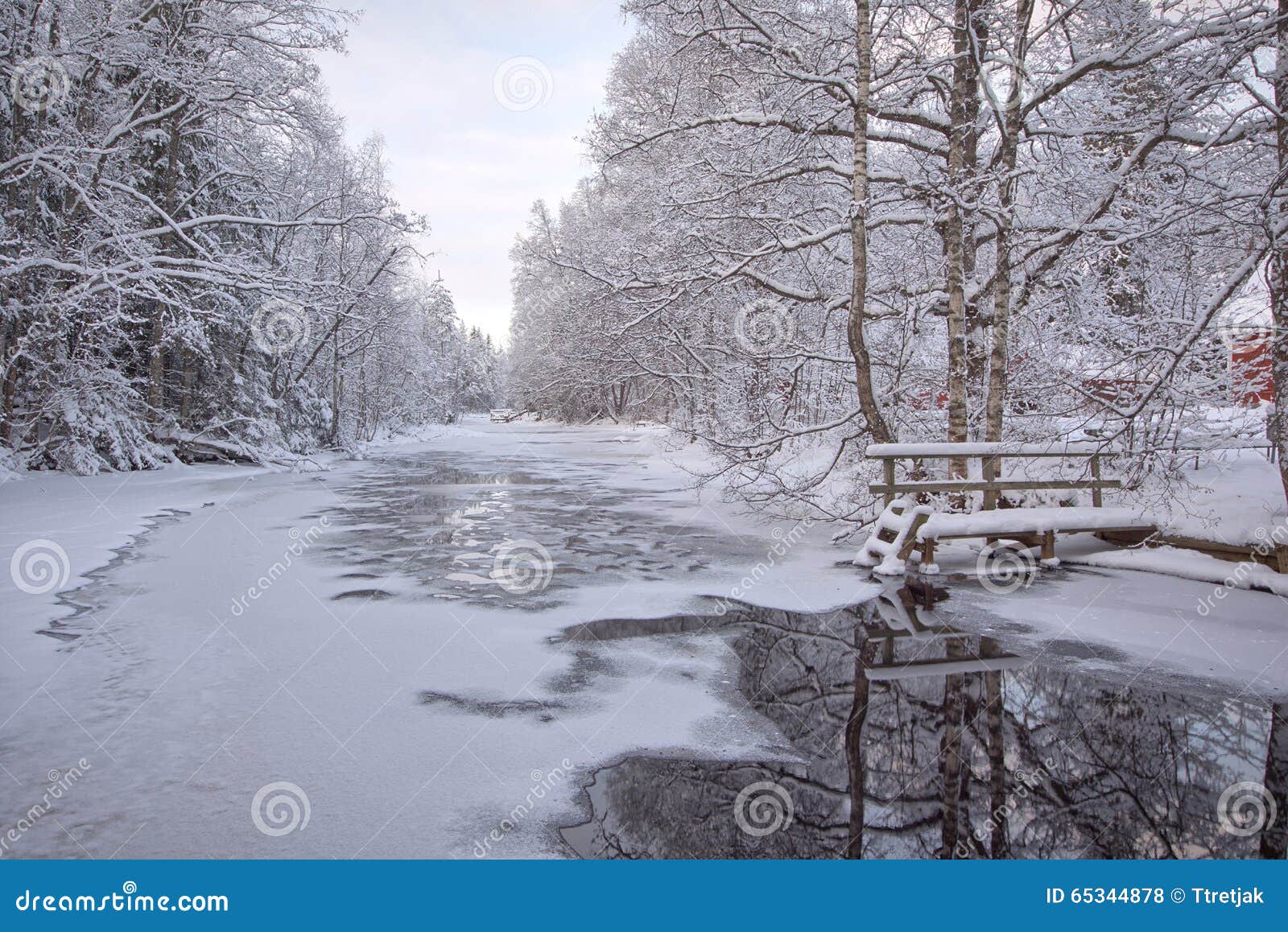 Frozen stream in forest stock photo. Image of outdoor - 65344878