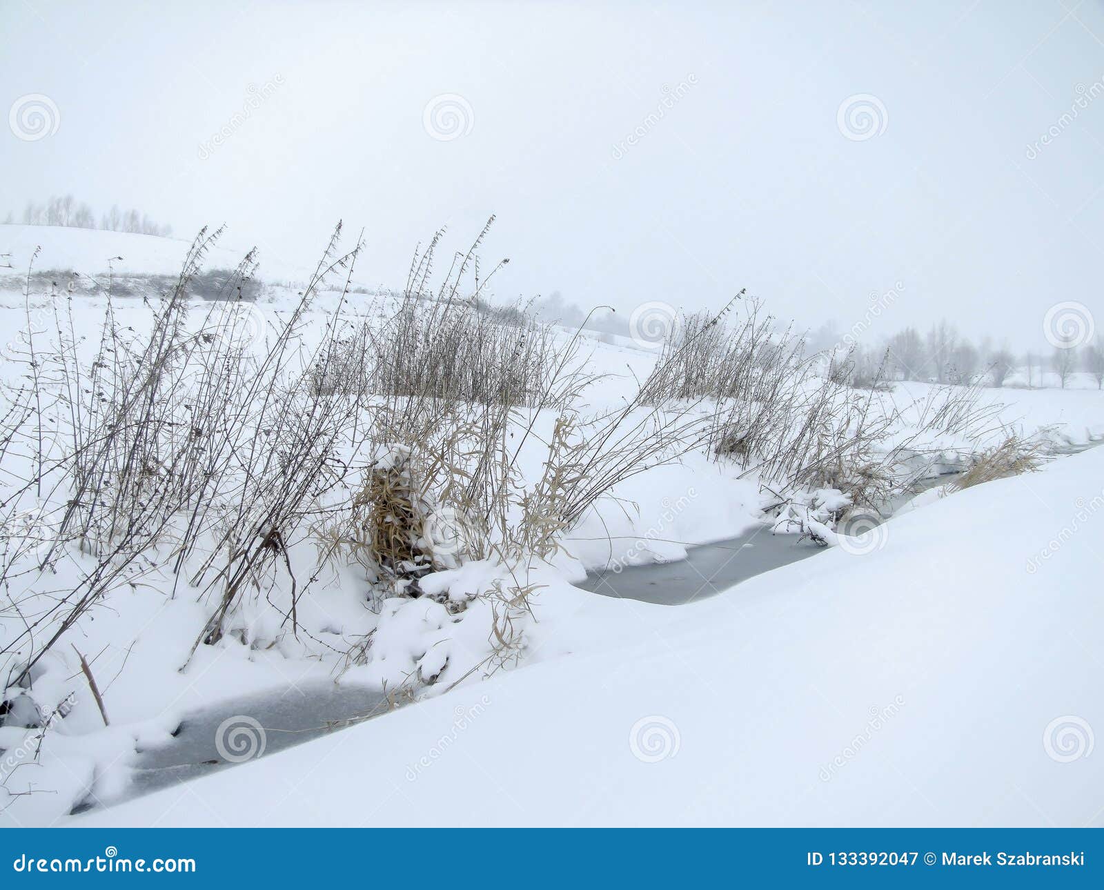 A Frozen Stream in the Midst of Fields while Snowing Stock Image ...