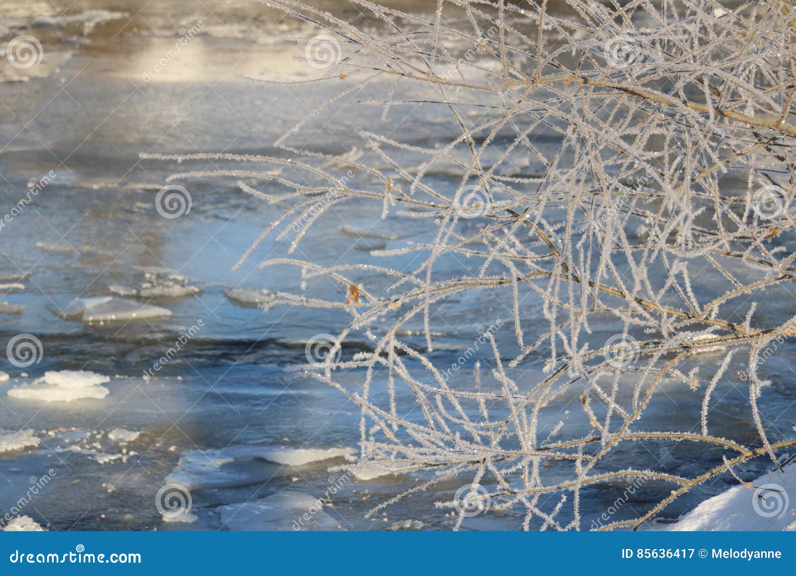 Frozen Stream stock image. Image of creek, frozen, stream - 85636417