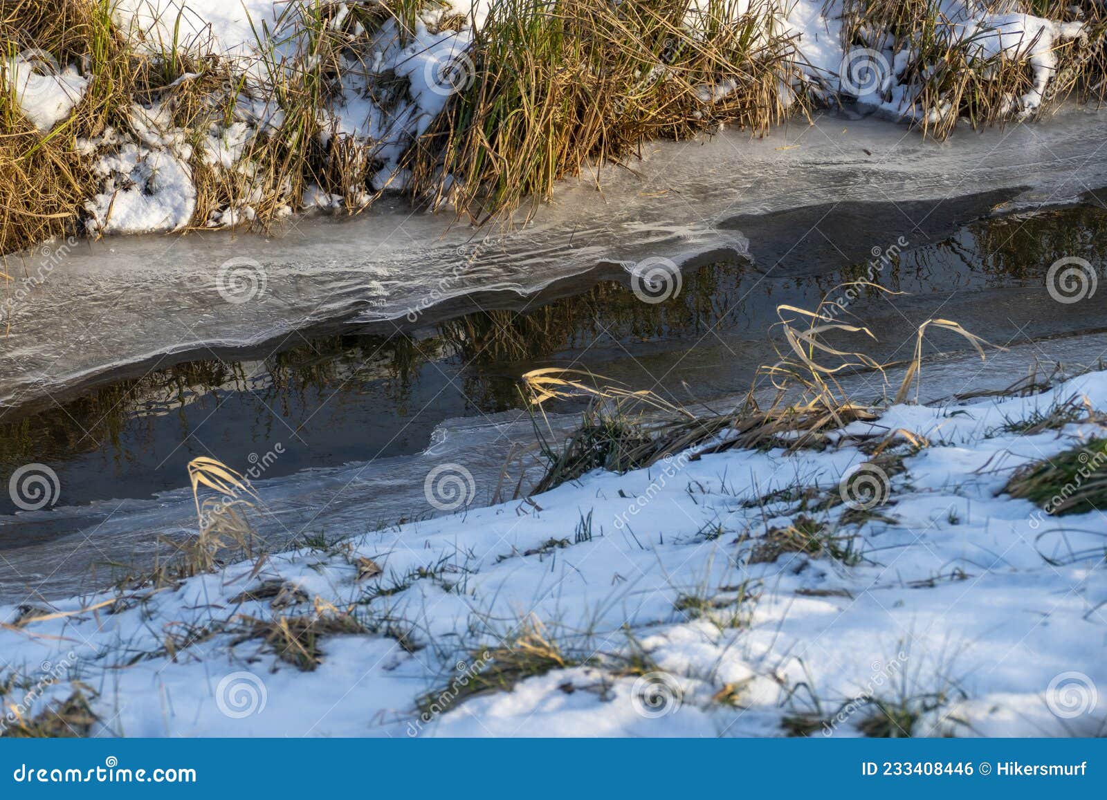 Frozen Stream with a Thin Layer of Ice Stock Photo - Image of pond ...