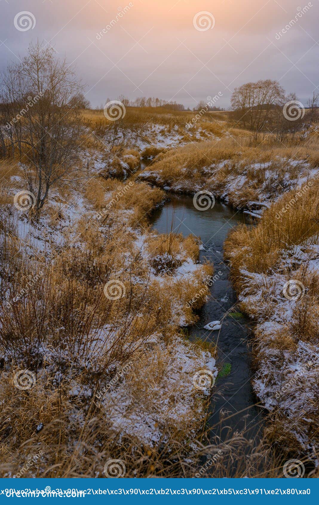 Frozen Stream in the Winter Forest Stock Image - Image of season ...