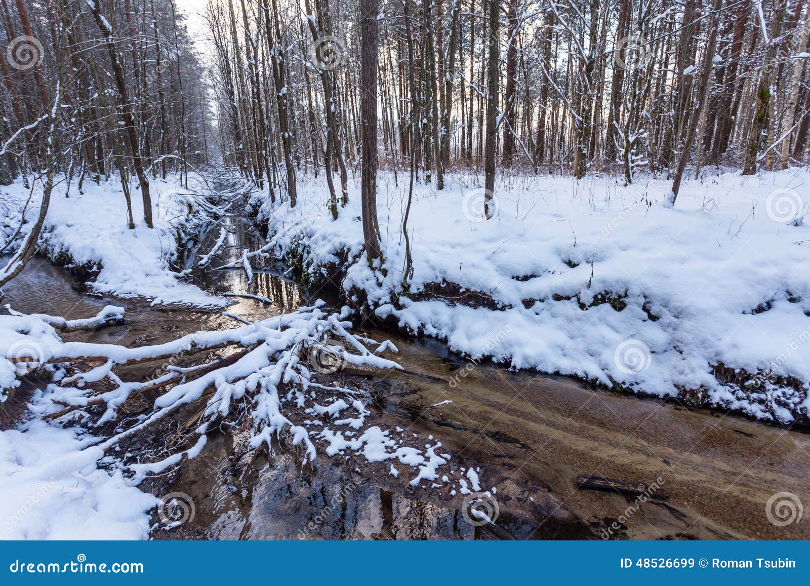Frozen Stream in Winter Forest Stock Image - Image of scandinavia ...