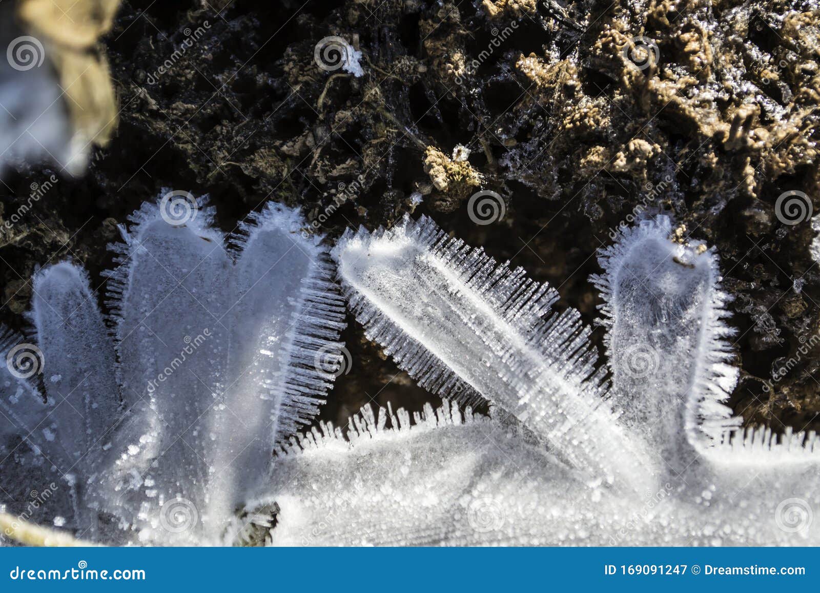 Frozen Structures on a Field Stock Image - Image of extreme, looking ...
