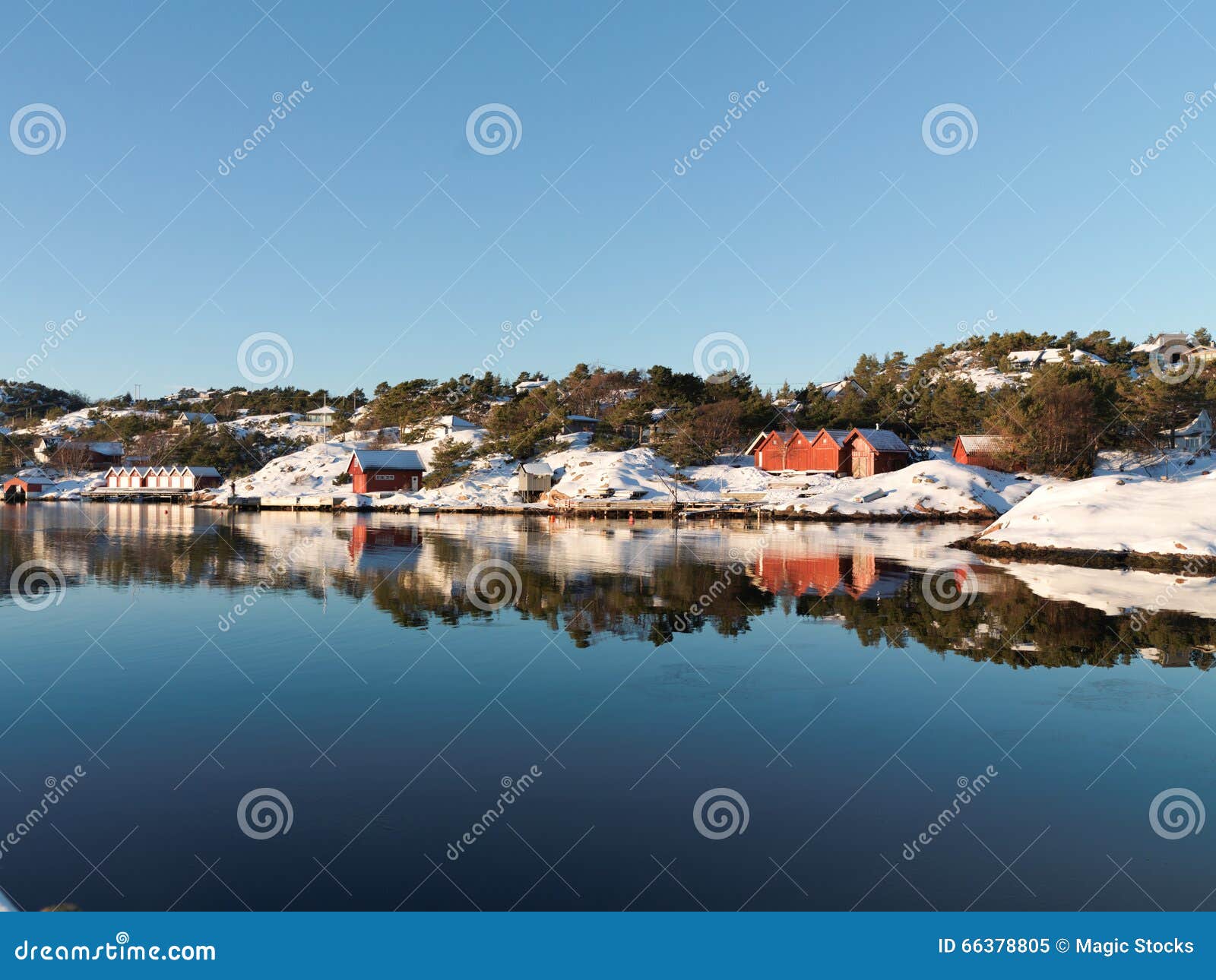 Frozen summer area stock image. Image of snow, place - 66378805