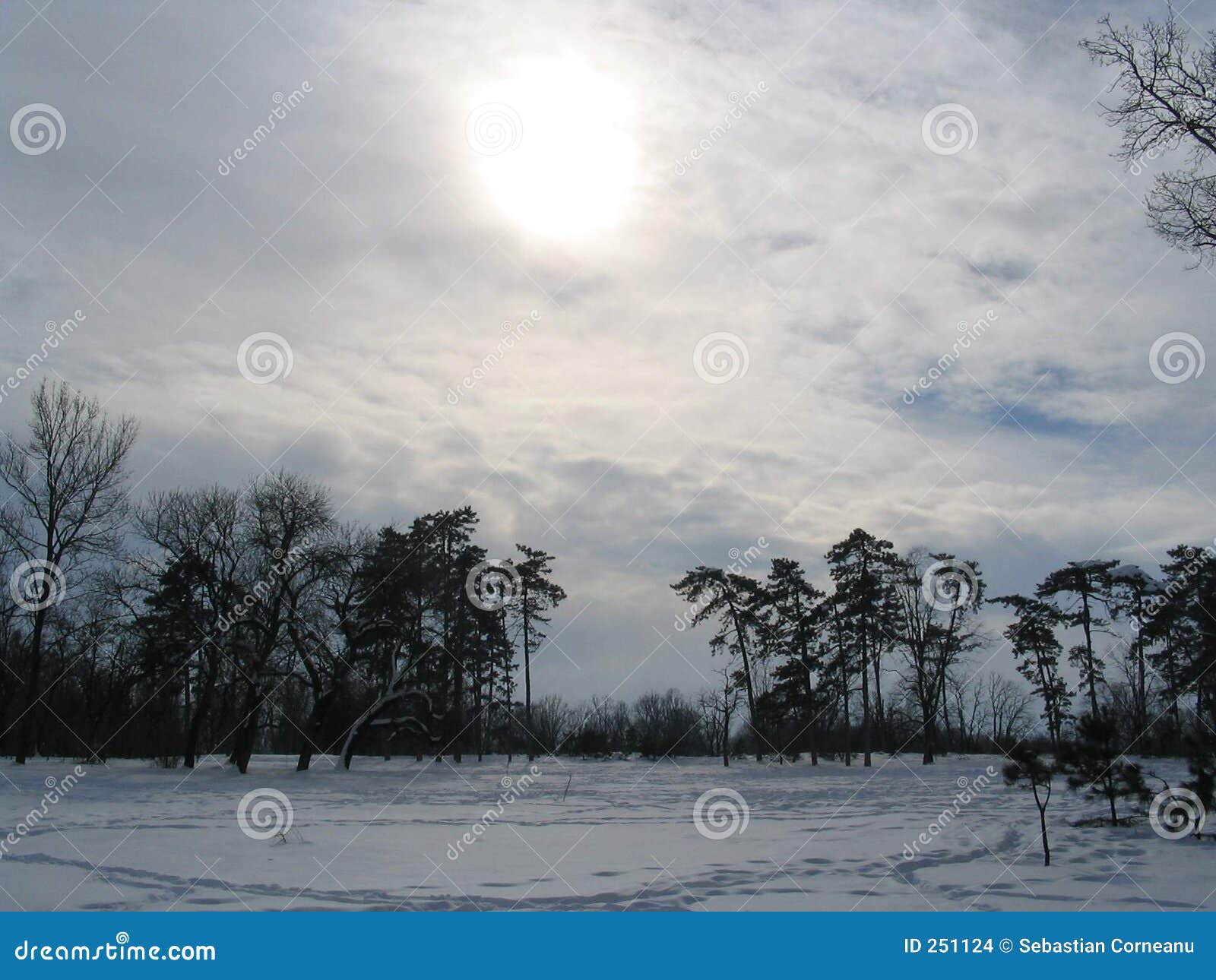 Frozen Sun Picture. Image: 251124