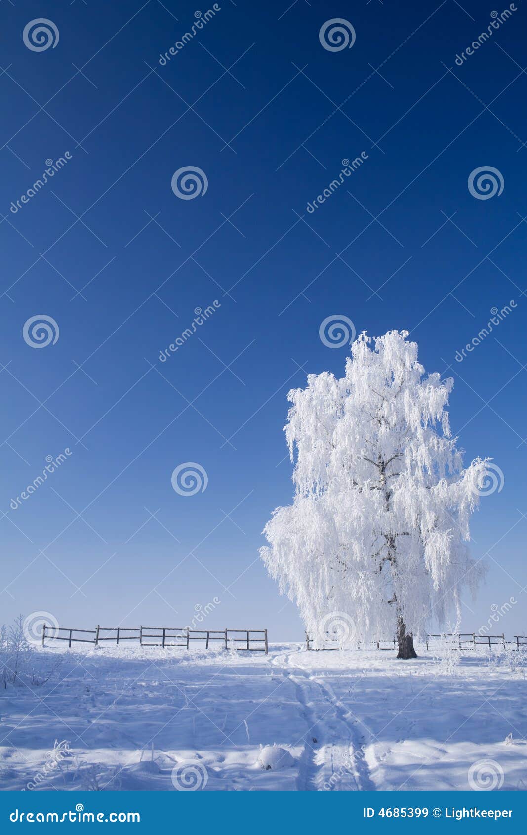 Frozen Sunny Day in Mid Winter Stock Image - Image of frost, nature ...