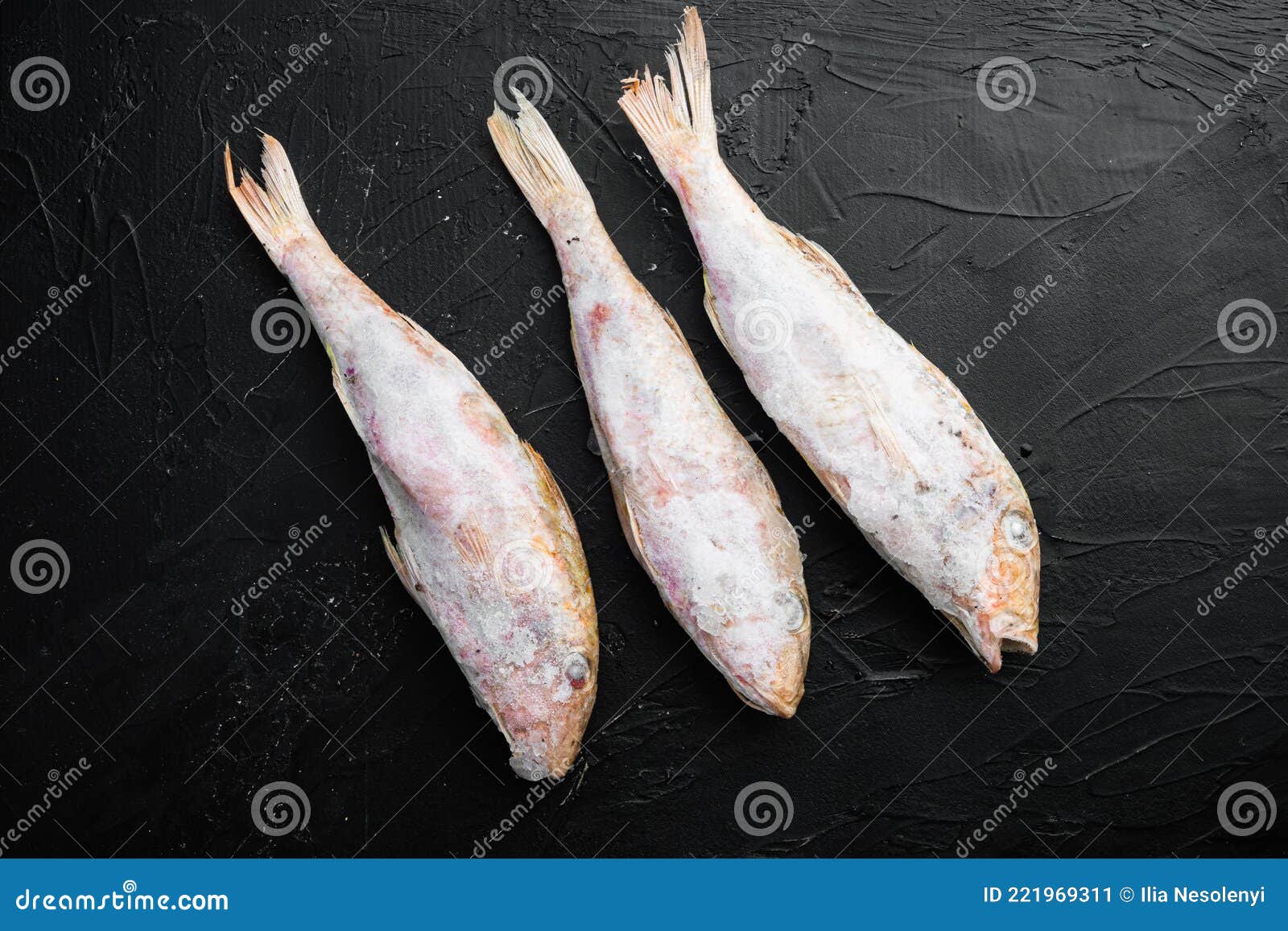 Frozen Surmullet Fish, on Black Dark Stone Table Background, Top View ...