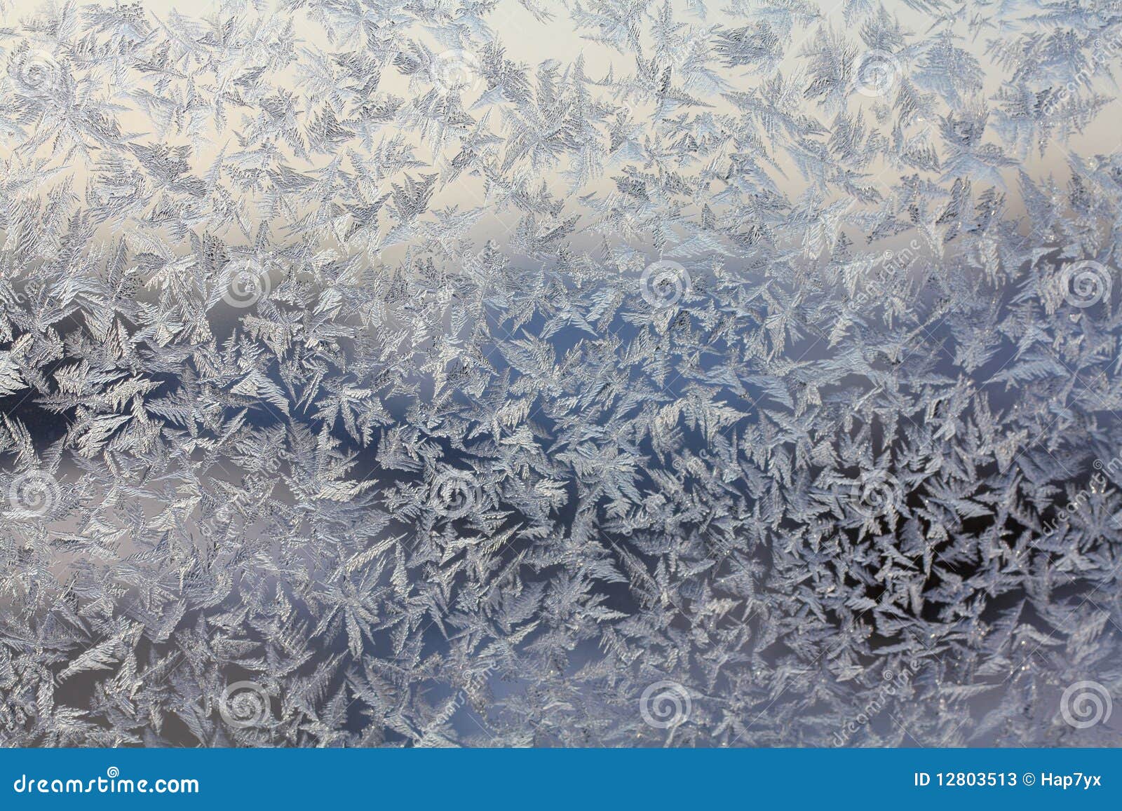 Frozen Texture Stock Photos - Image: 12803513