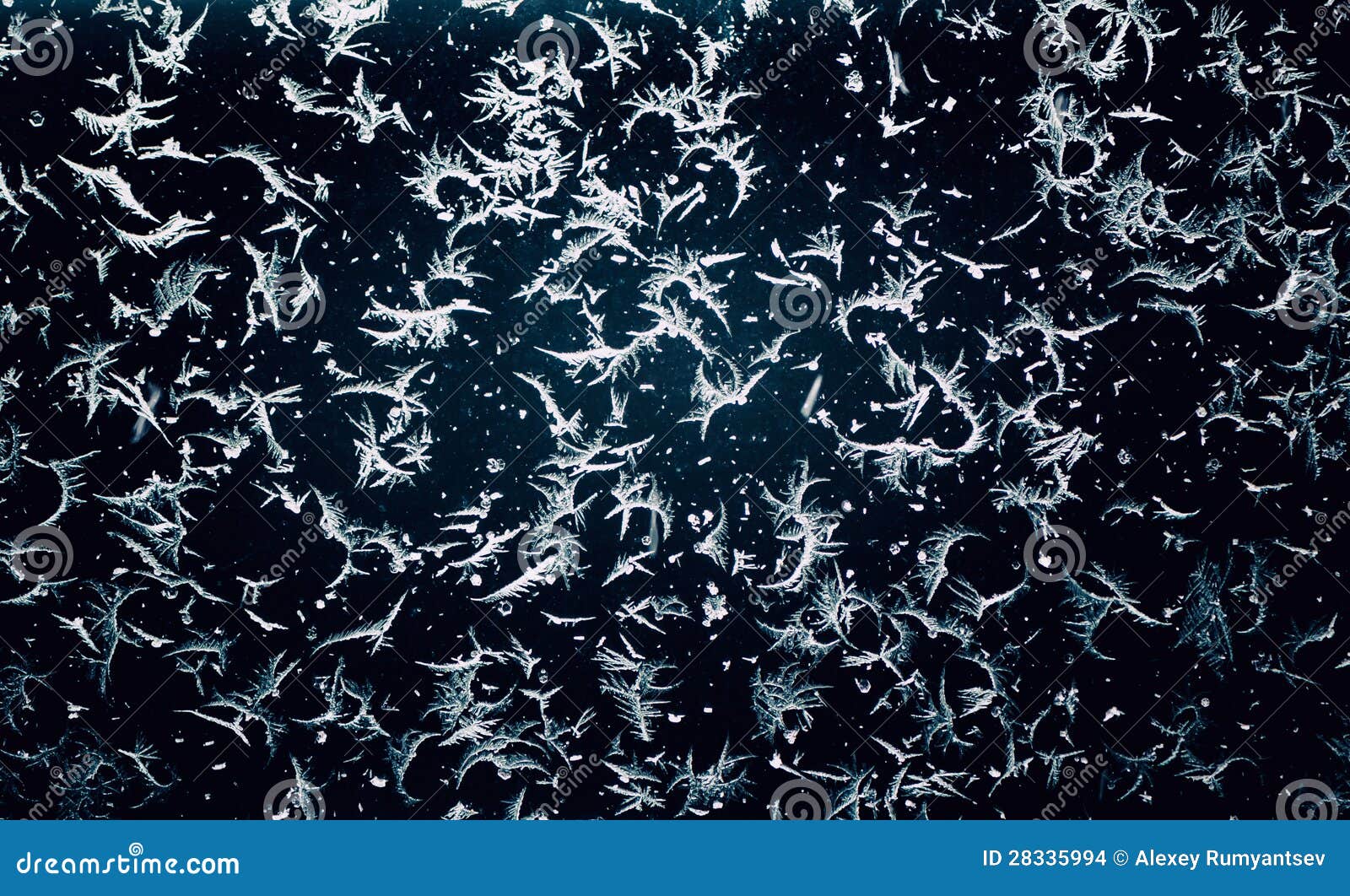 Frozen texture stock photo. Image of texture, frost, tint - 28335994