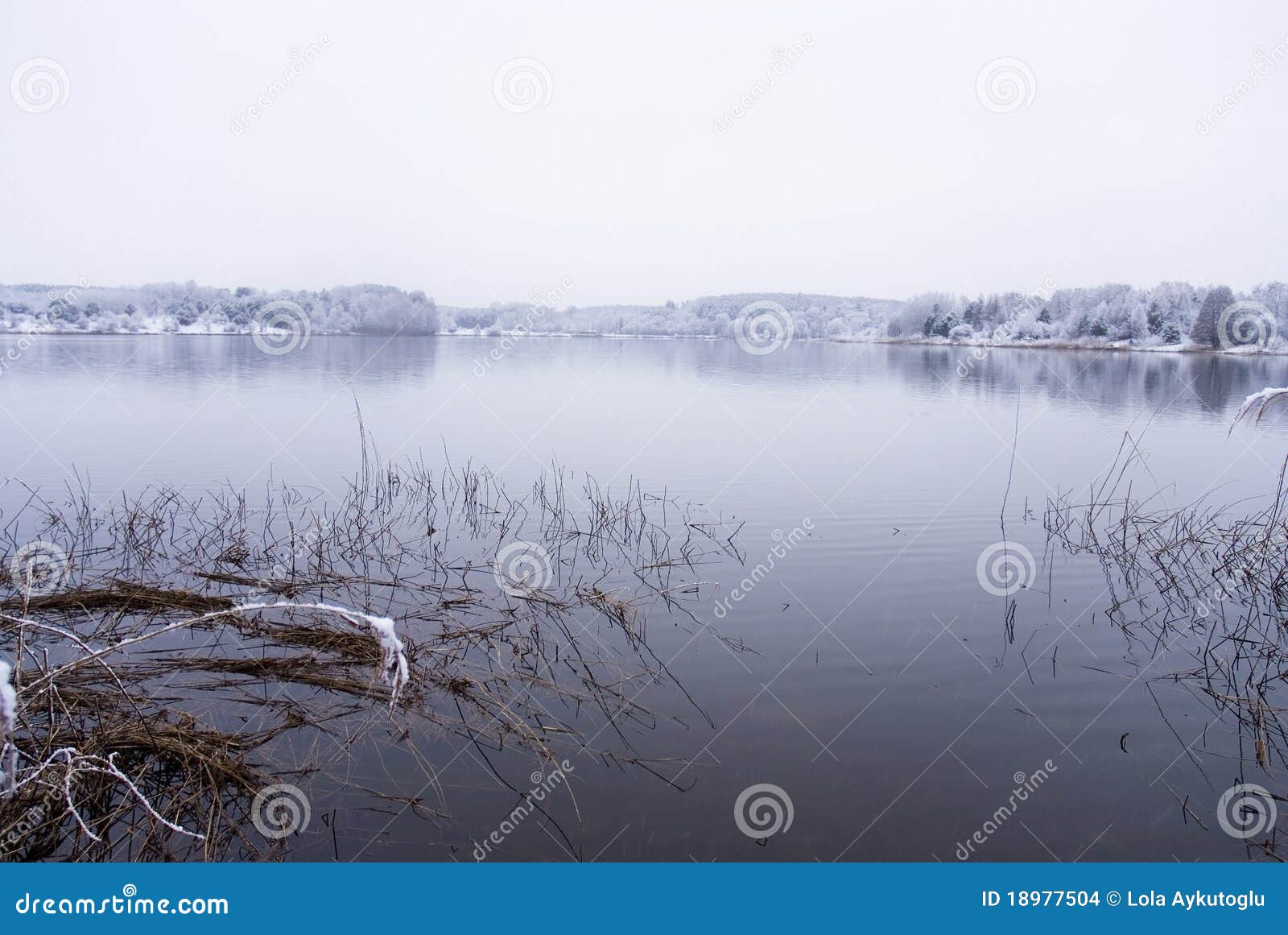 Frozen Thawing Lake in Snow Landscape Stock Photo - Image of birds ...