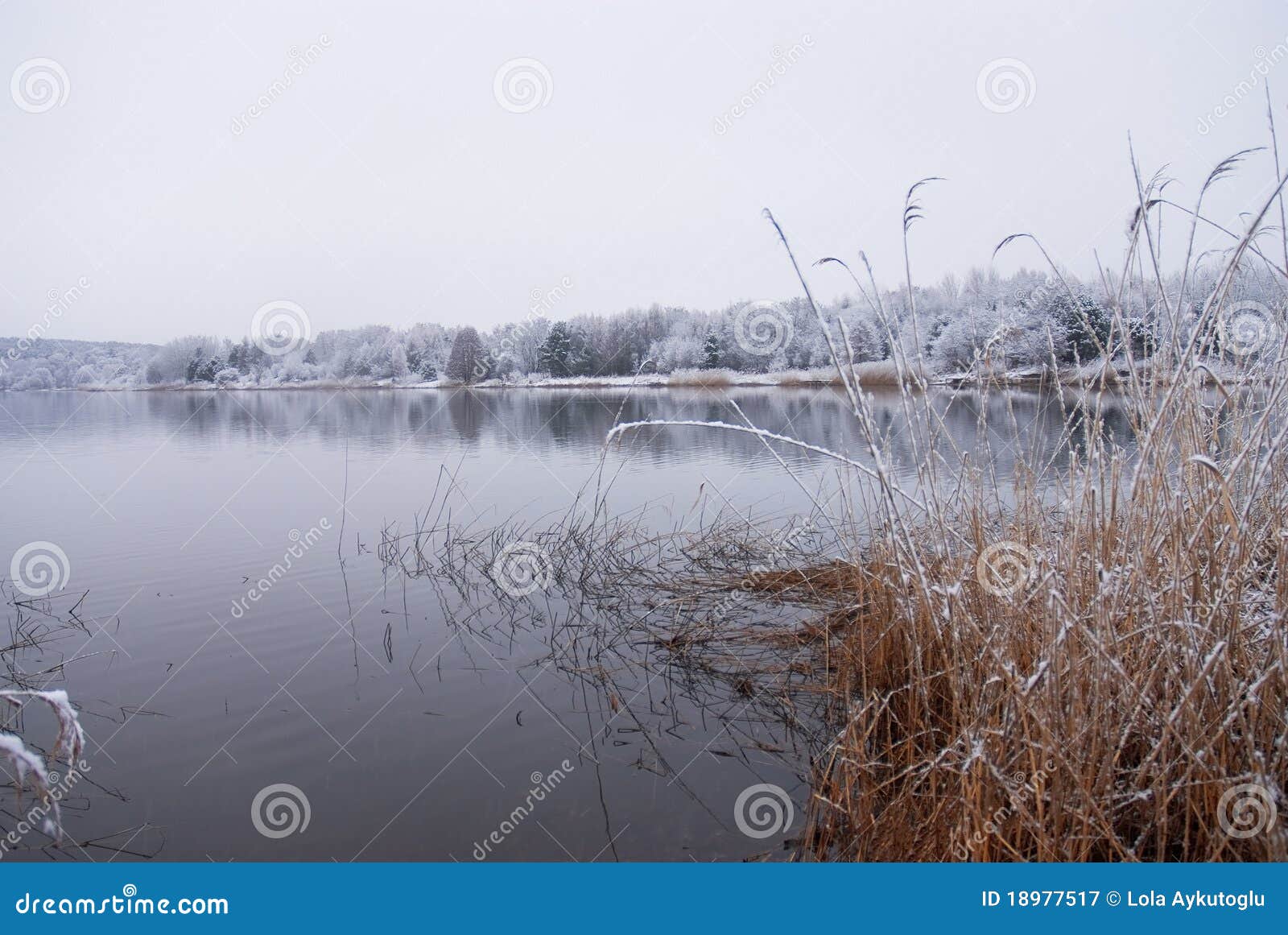 Frozen Thawing Lake in Snow Landscape Stock Image - Image of christmas ...