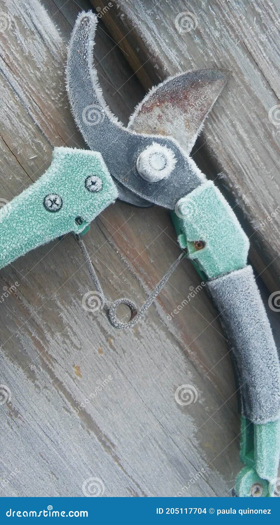 Frozen Tools Covered with Ice Stock Photo - Image of weapon, wheel ...