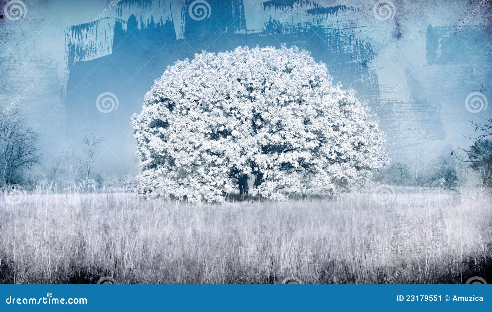 Frozen tree stock image. Image of land, cold, landscape - 23179551