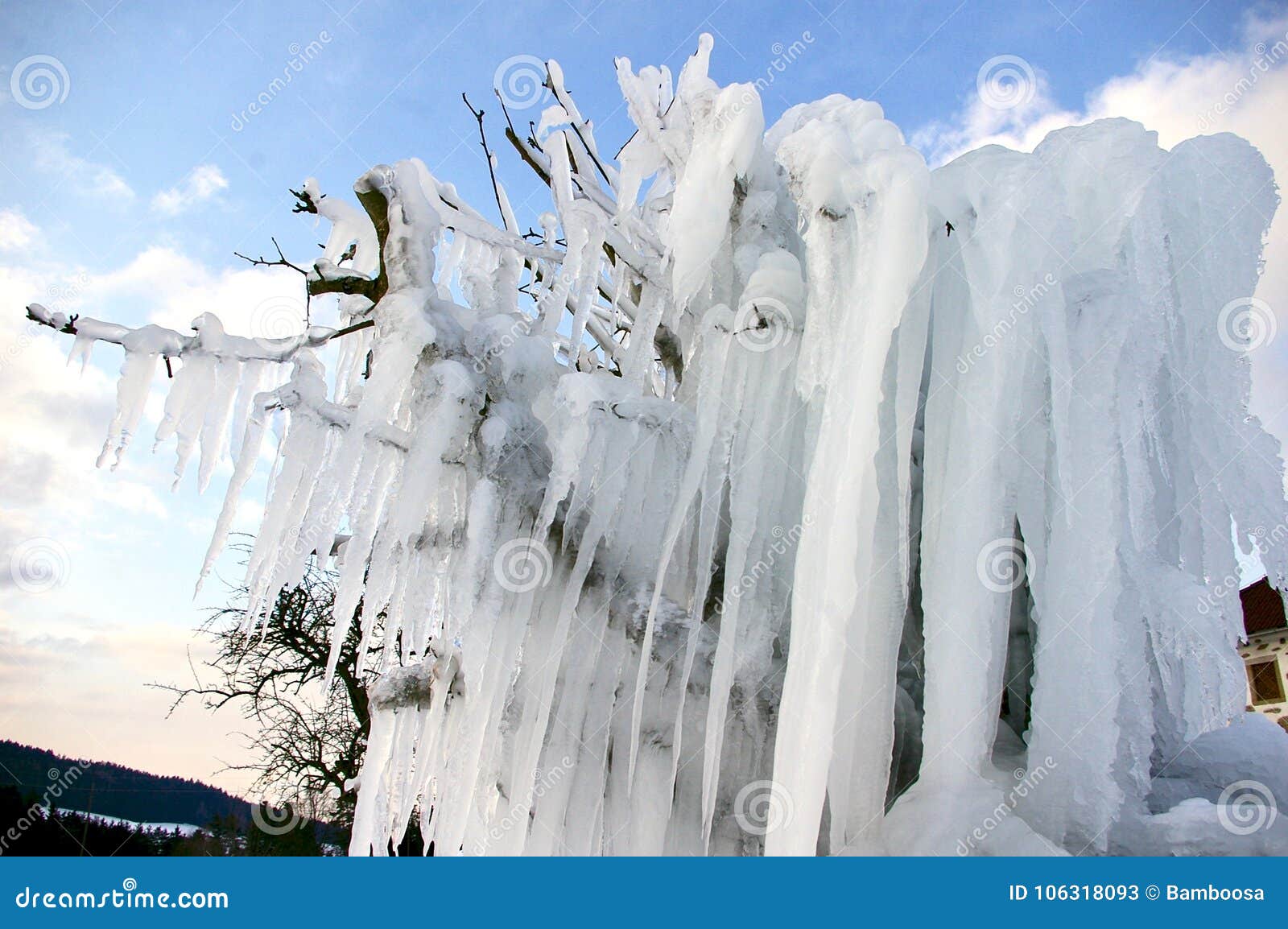 Ice Frozen Tree stock image. Image of abstract, frozen - 106318093