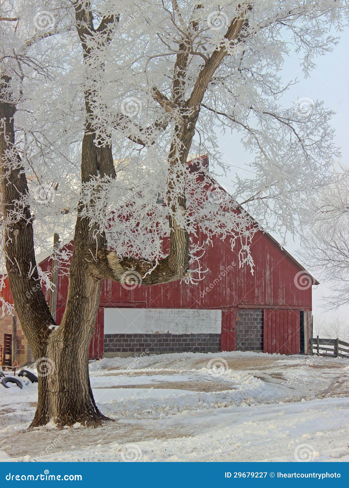 Frozen Tree with Barn stock image. Image of branch, winter - 29679227