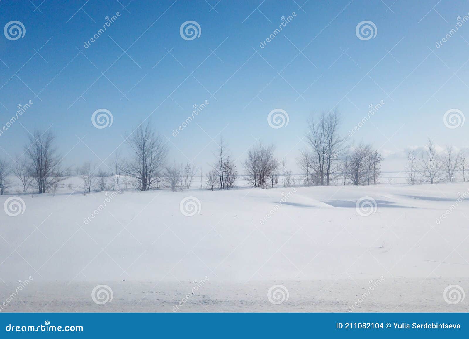 Frozen Tree on Field Under Sunlight and Blue Sky Stock Photo - Image of ...
