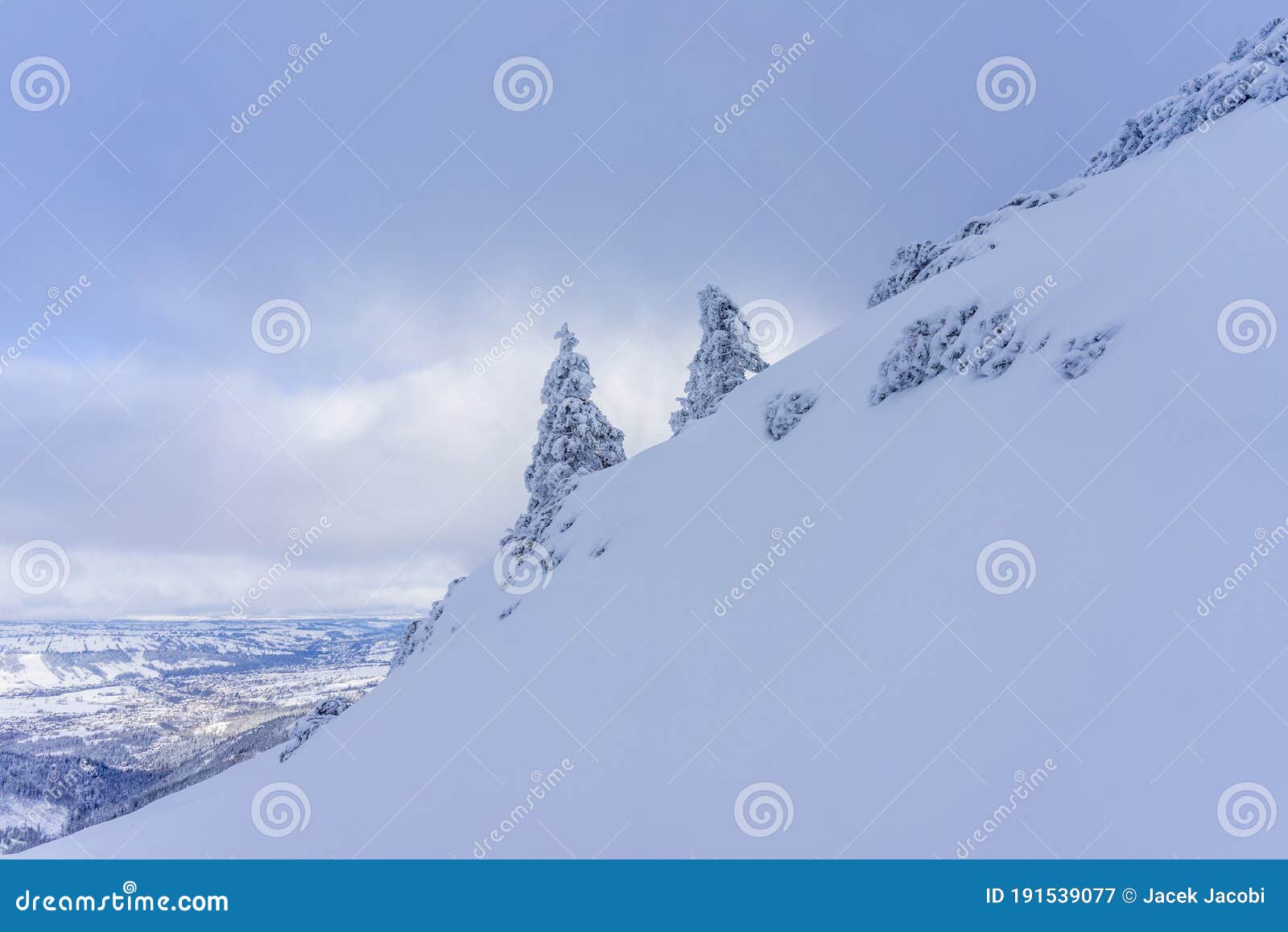 Frozen Trees in Deep Snow. Tatra Mountains Stock Image - Image of snow ...