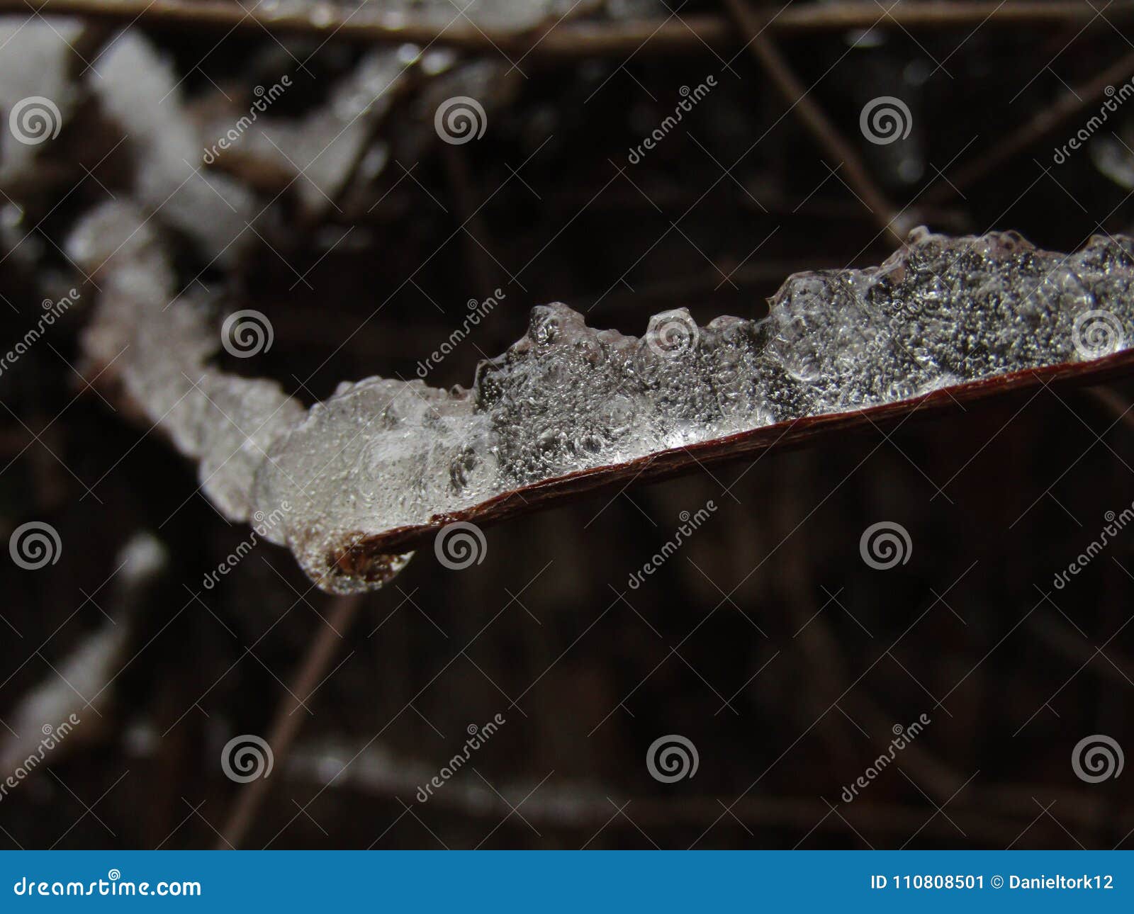Frozen Triangle-shaped Vine Stock Image - Image of frozen, form: 110808501