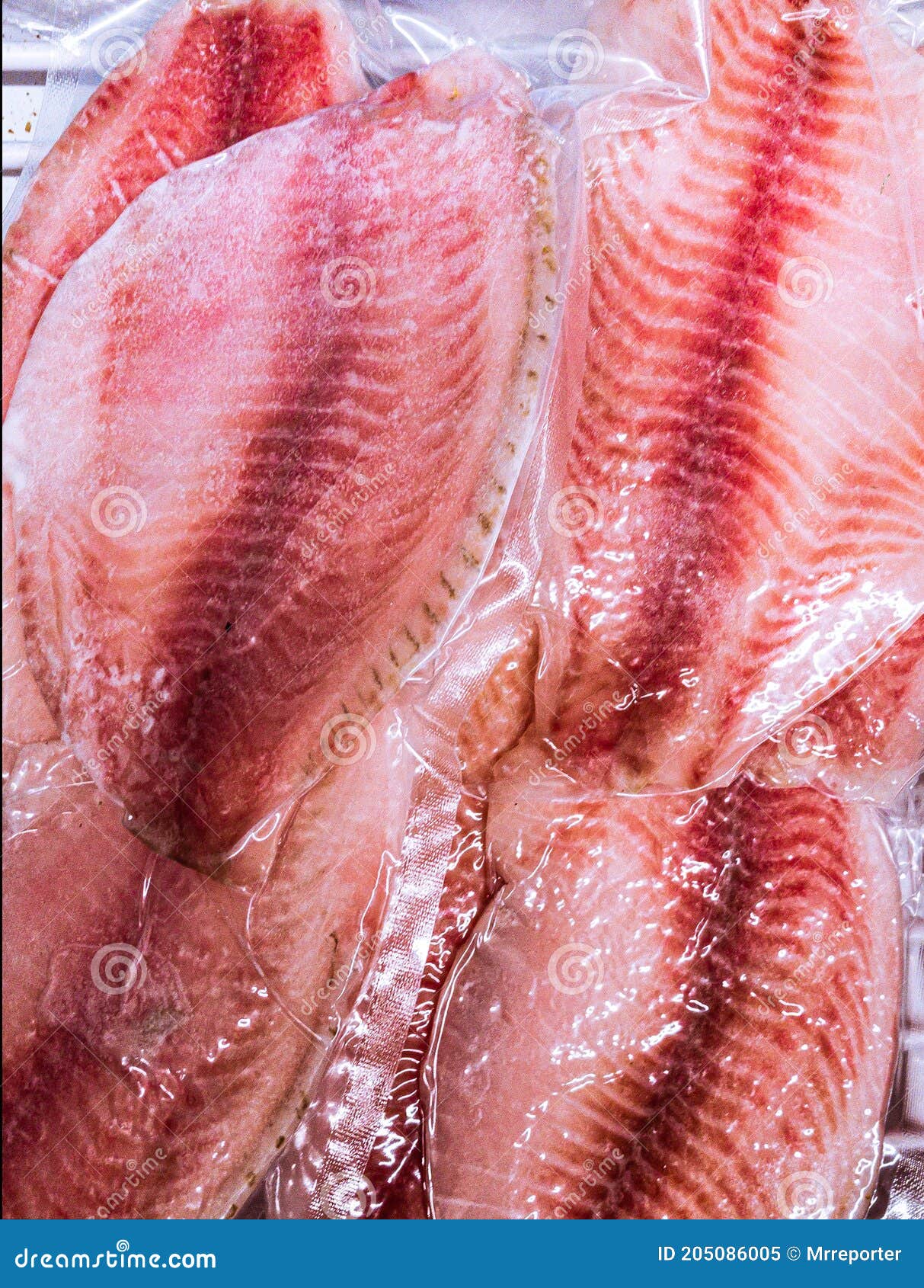 Frozen fish fillet stock image. Image of cooled, cookery - 205086005