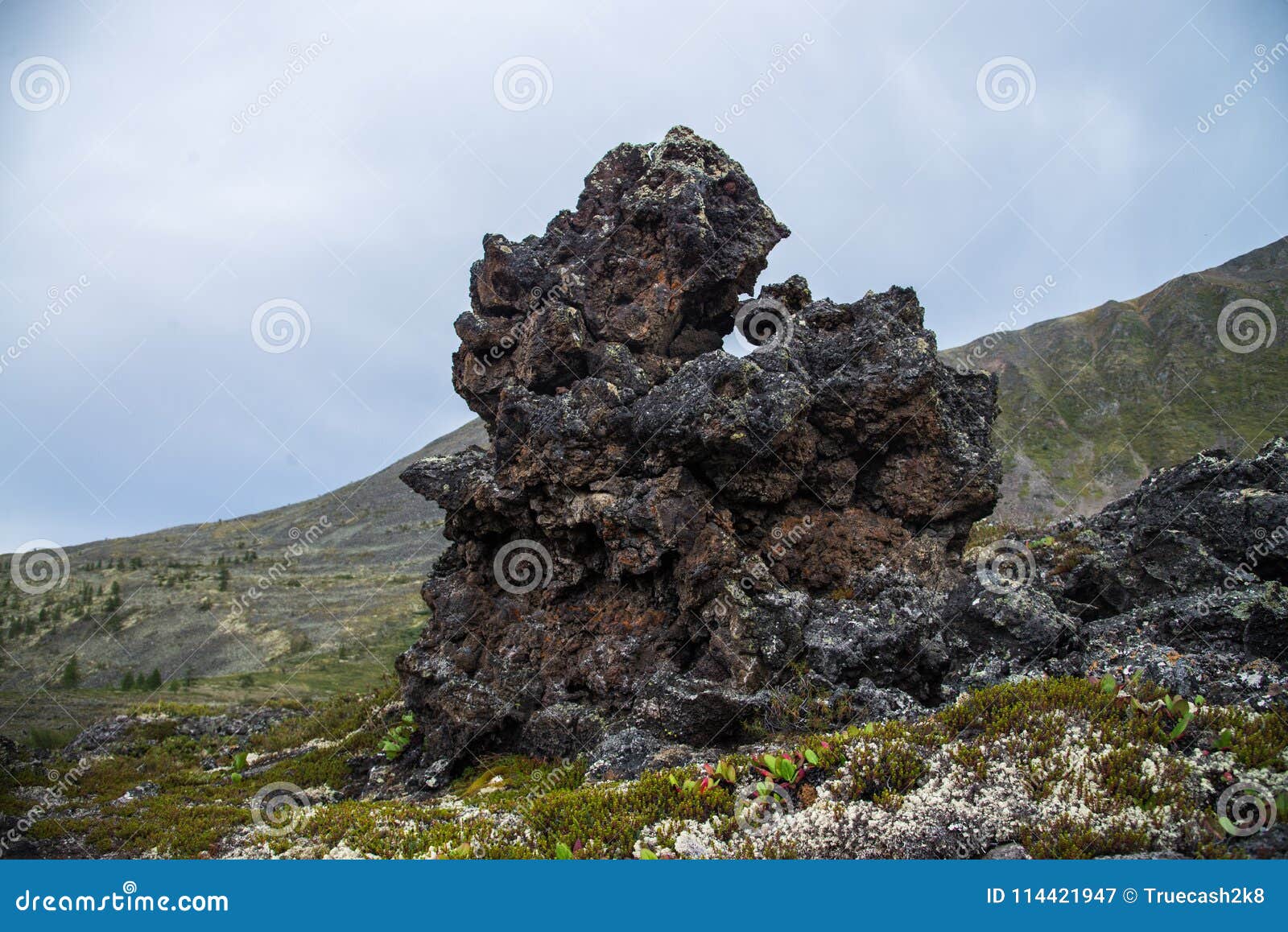 Frozen Volcanic Lava Closeup Thousands Of Years After The Eruption ...