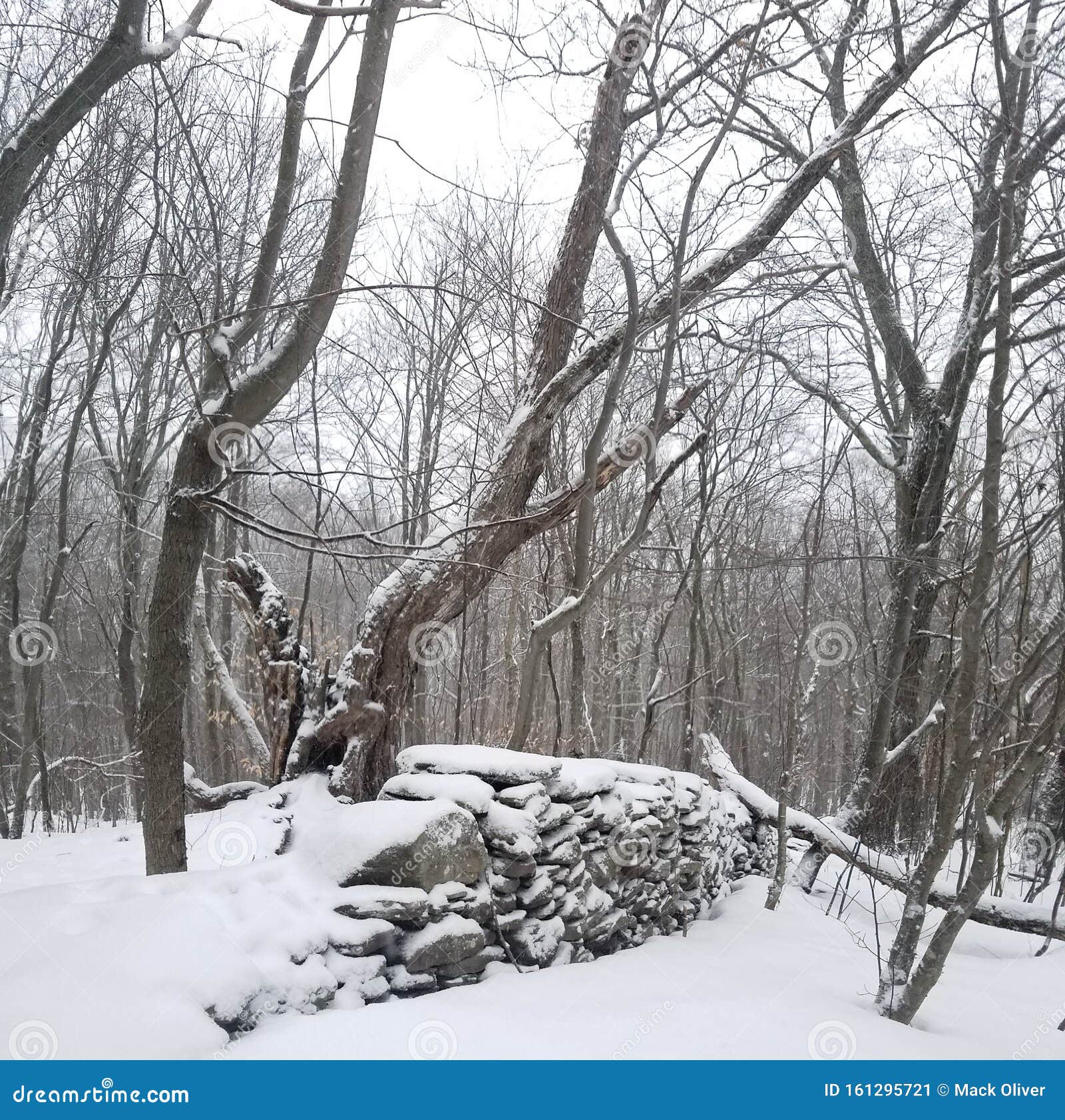 Frozen Wall Texture Stock Photography | CartoonDealer.com #38124530