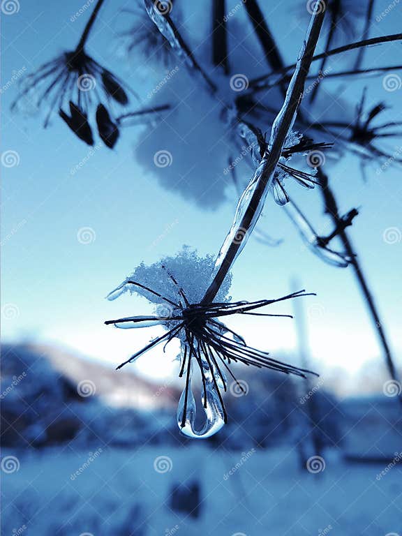 Frozen water drop stock image. Image of abstract, drops - 136881817
