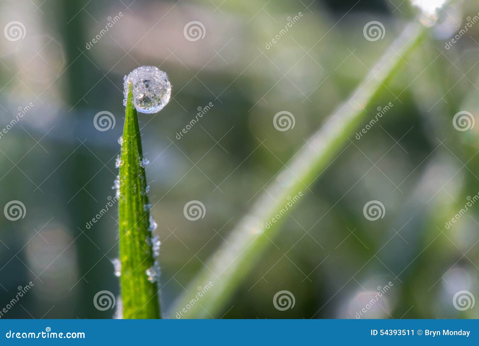 Frozen Water Droplet stock image. Image of drop, round - 54393511