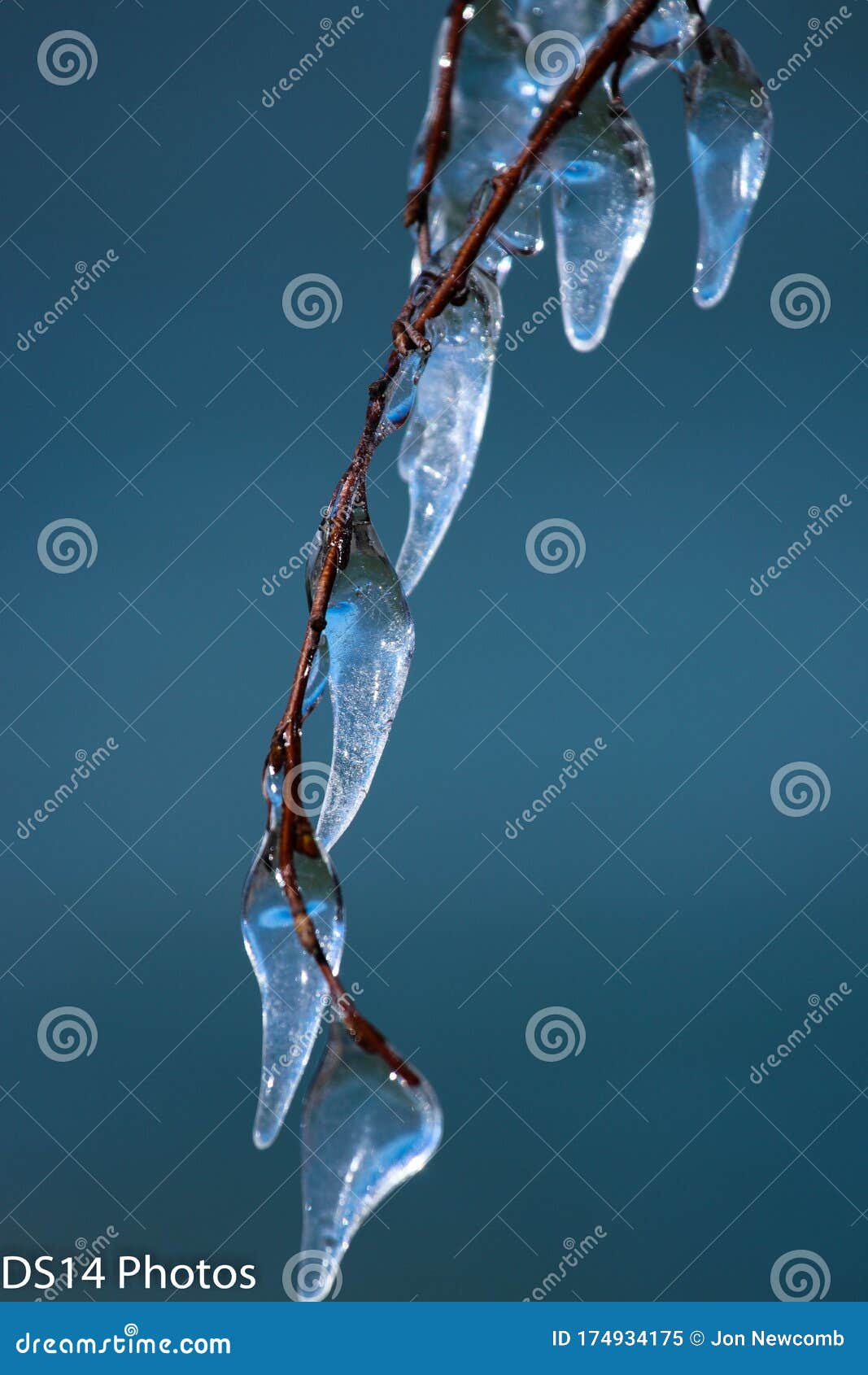 Frozen Water Droplets on a Branch. Stock Image - Image of edge, hanging ...