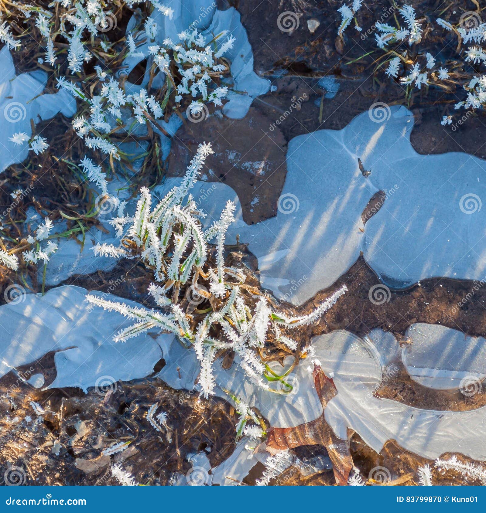 Frozen Water and Ice Crystals Stock Photo - Image of frozen, flower ...