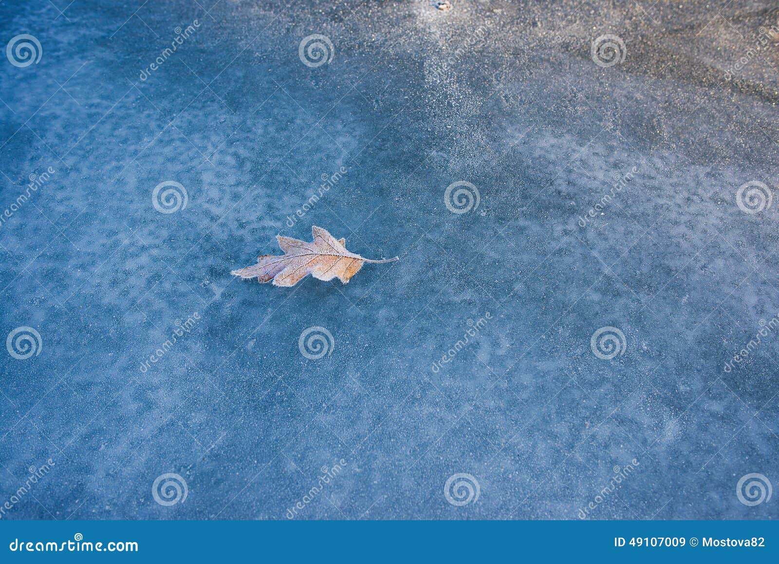 Frozen Water in Lake and Leaves on it Stock Image - Image of textures ...