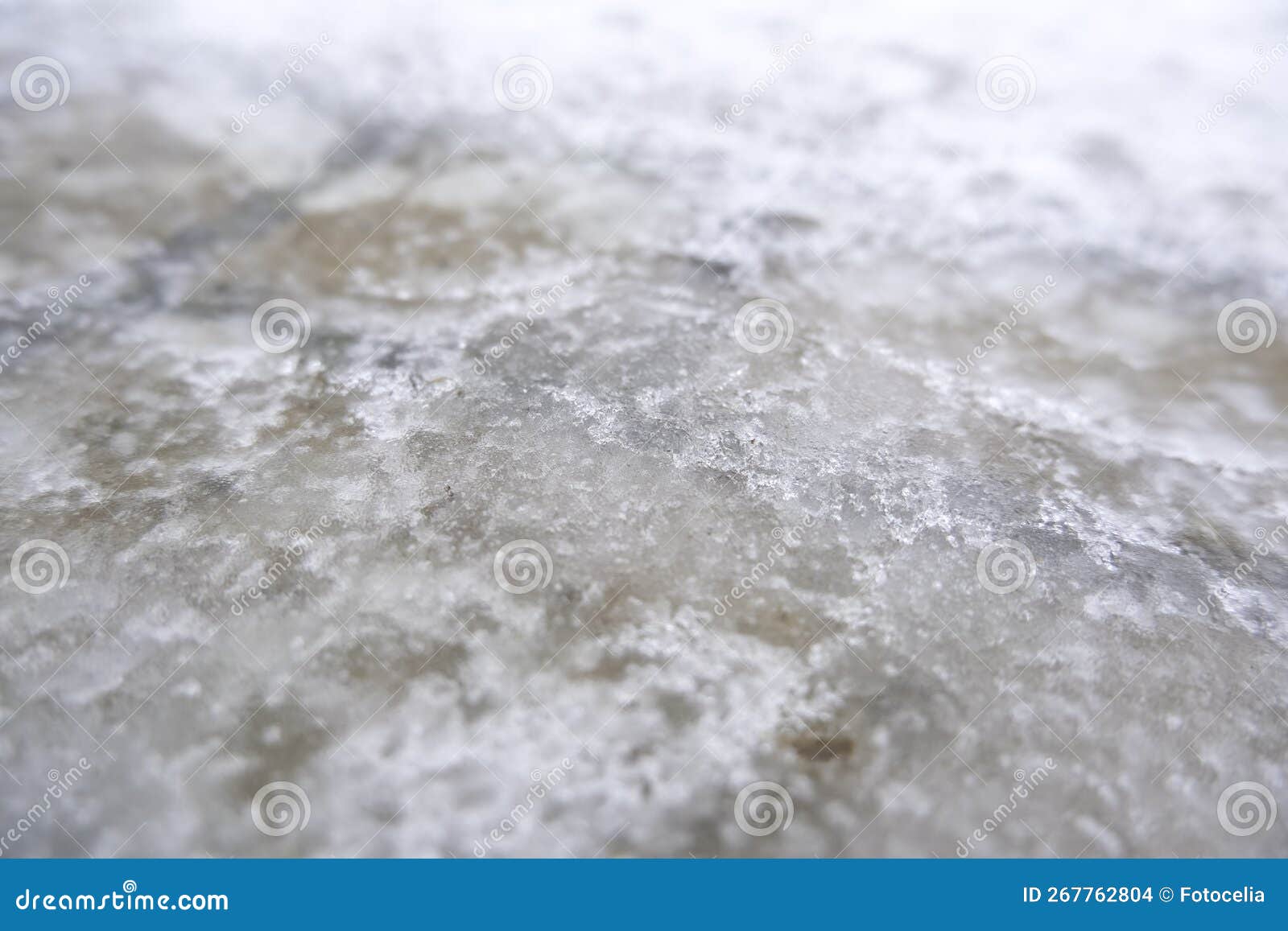 Frozen water puddle stock photo. Image of closeup, crisp - 267762804