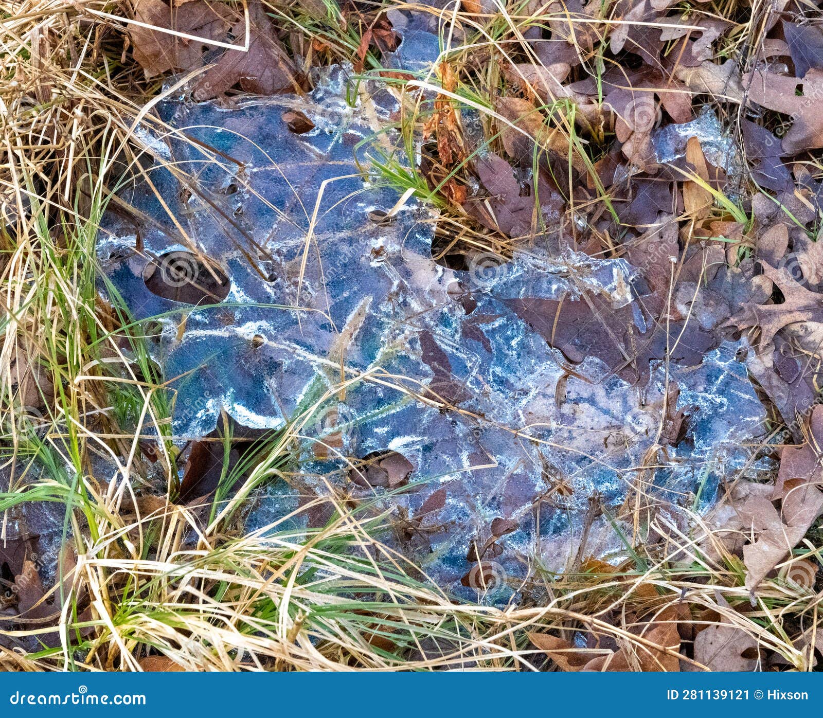 Frozen Water Puddle on Ground Stock Image - Image of tree, autumn ...