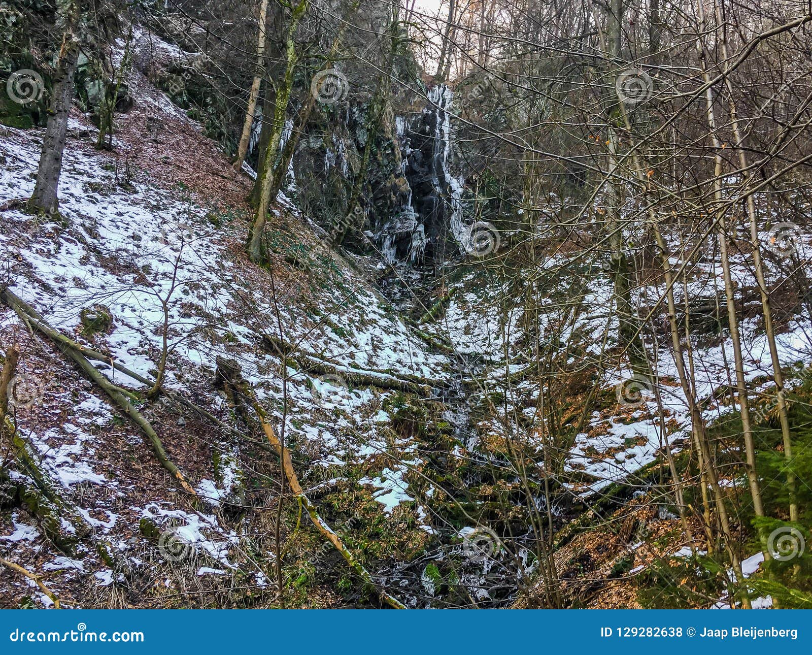 Frozen Waterfall with Icicles and a Bit of Streaming Water in a Forest ...