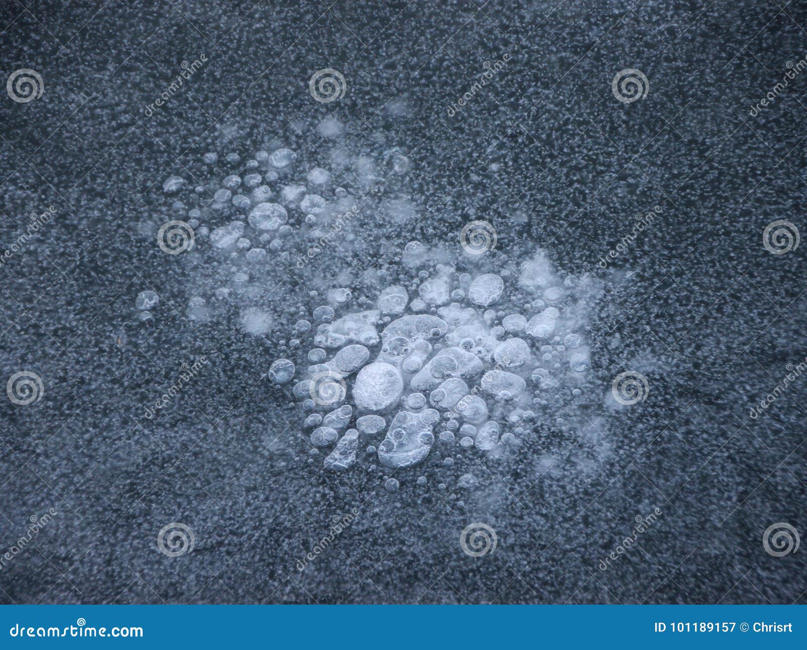 Frozen White Bubbles in Sea Water Ice Floe Stock Image - Image of ...