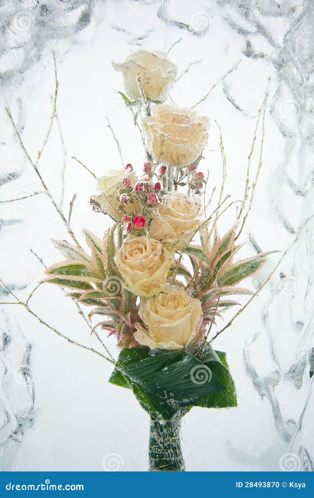 Frozen white roses bouquet stock photo. Image of green - 28493870
