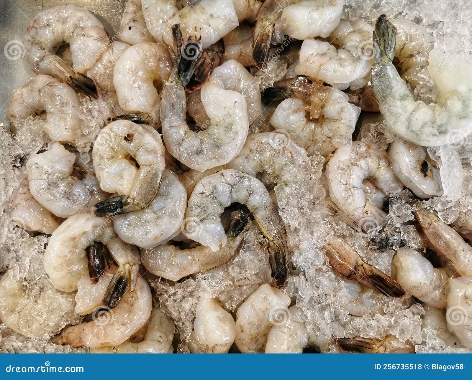 Frozen White Tiger Prawn Cutlets on Ice Abstract Background Stock Photo ...