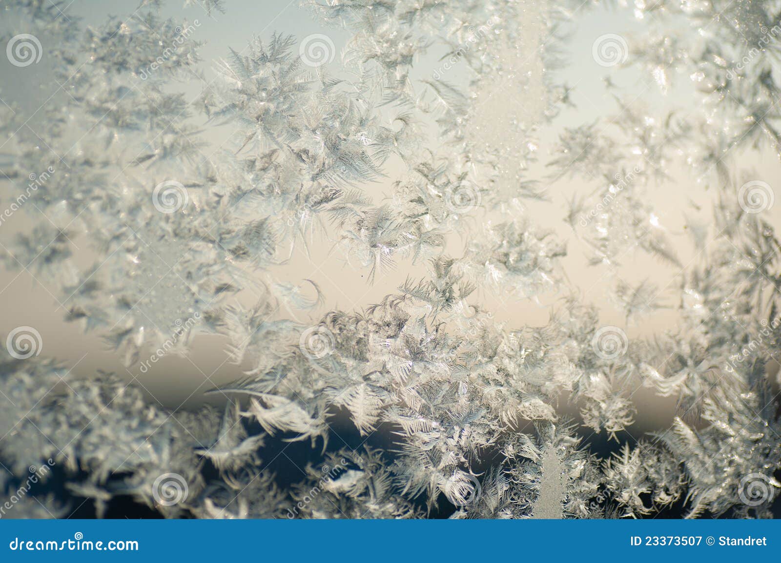 Frozen window stock image. Image of cool, crystal, scraping - 23373507