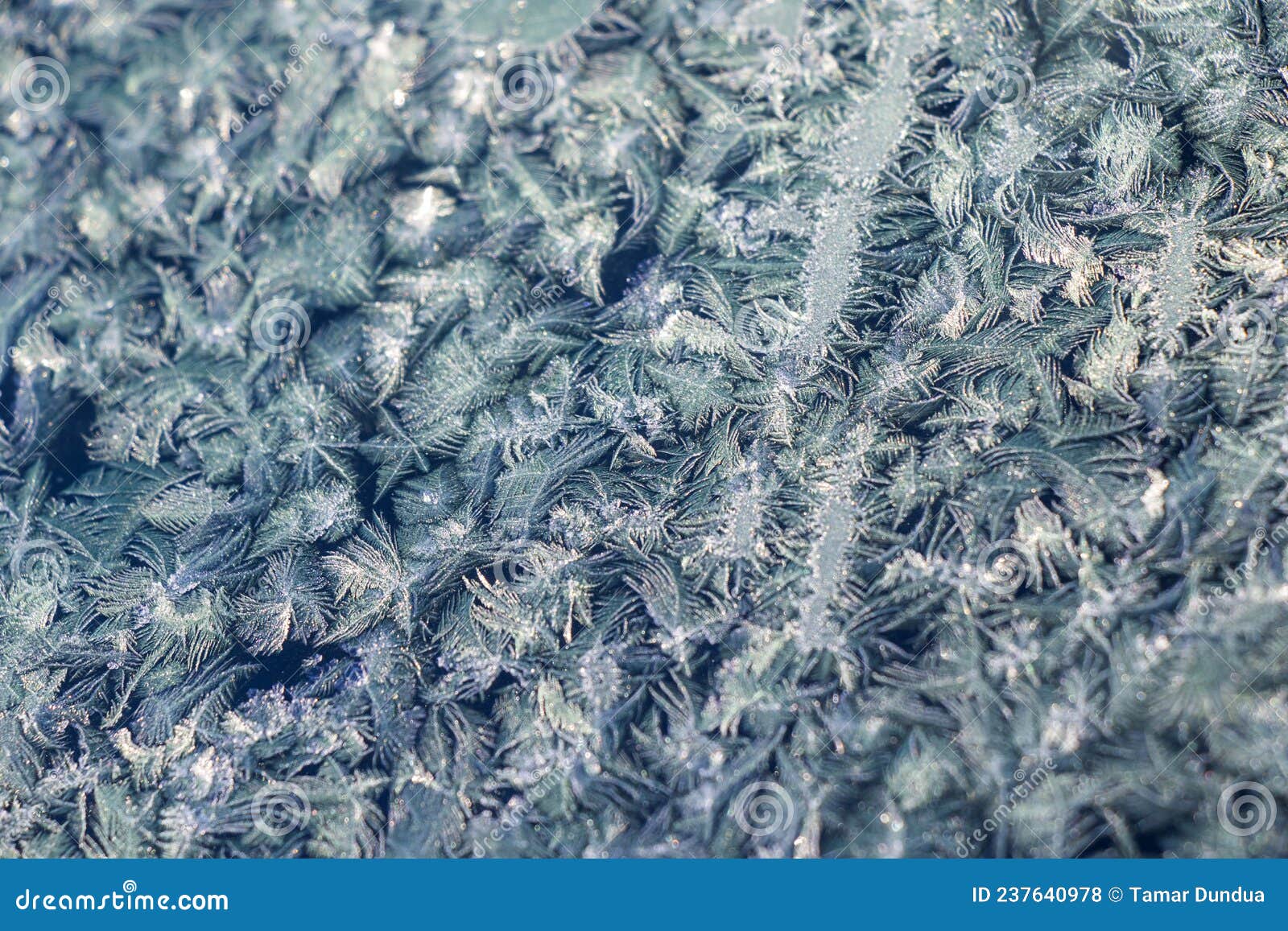 Frozen Window and Glass, Frozen Dew Water Pattern and Texture Stock ...