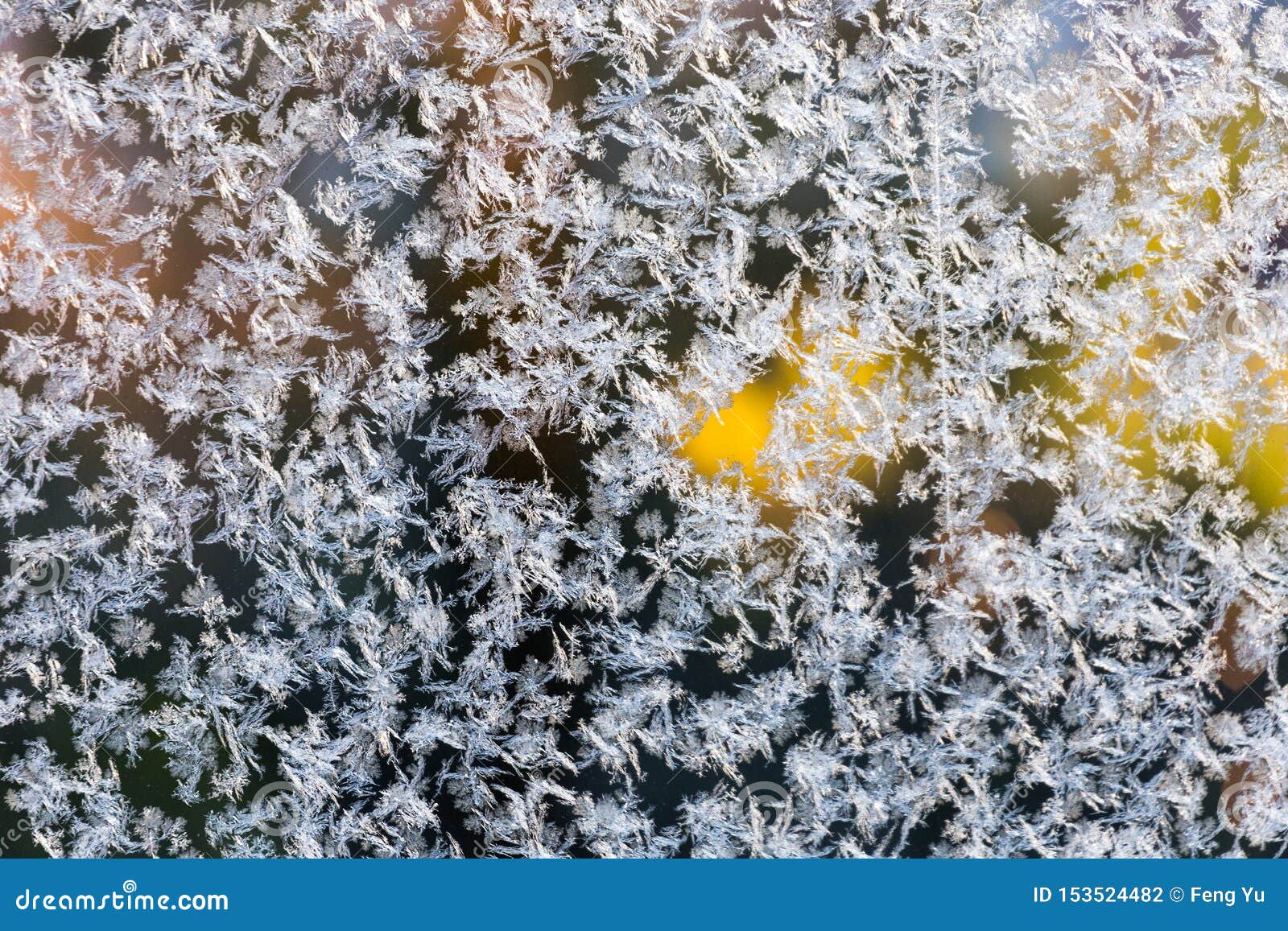 Frozen window glass stock photo. Image of sunlight, abstract - 153524482