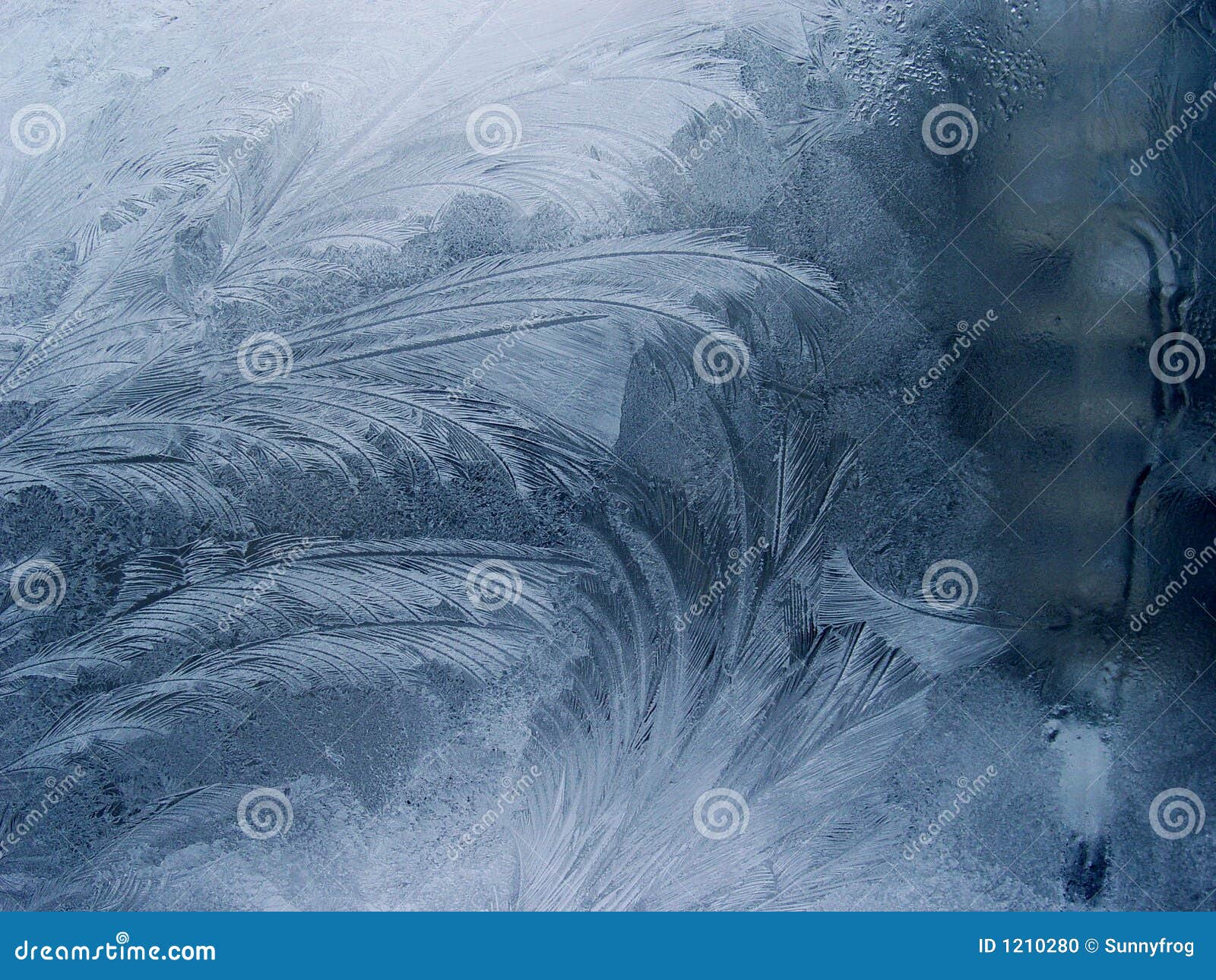 Frozen Window Glass Royalty-Free Stock Photography | CartoonDealer.com ...